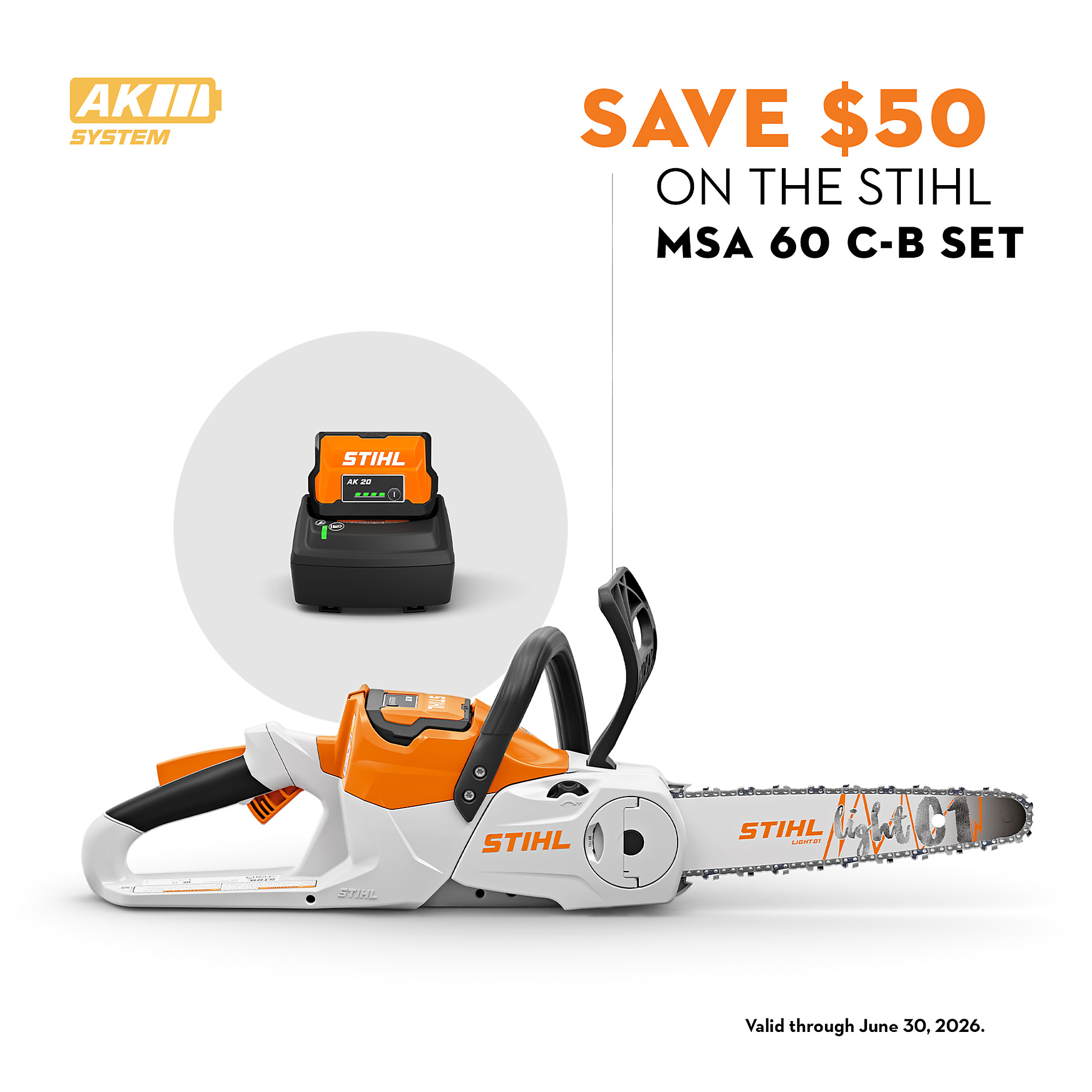 Stihl Battery-Operated 36V Cordless Chainsaw Set, 12in. Bar, 1/4in ...