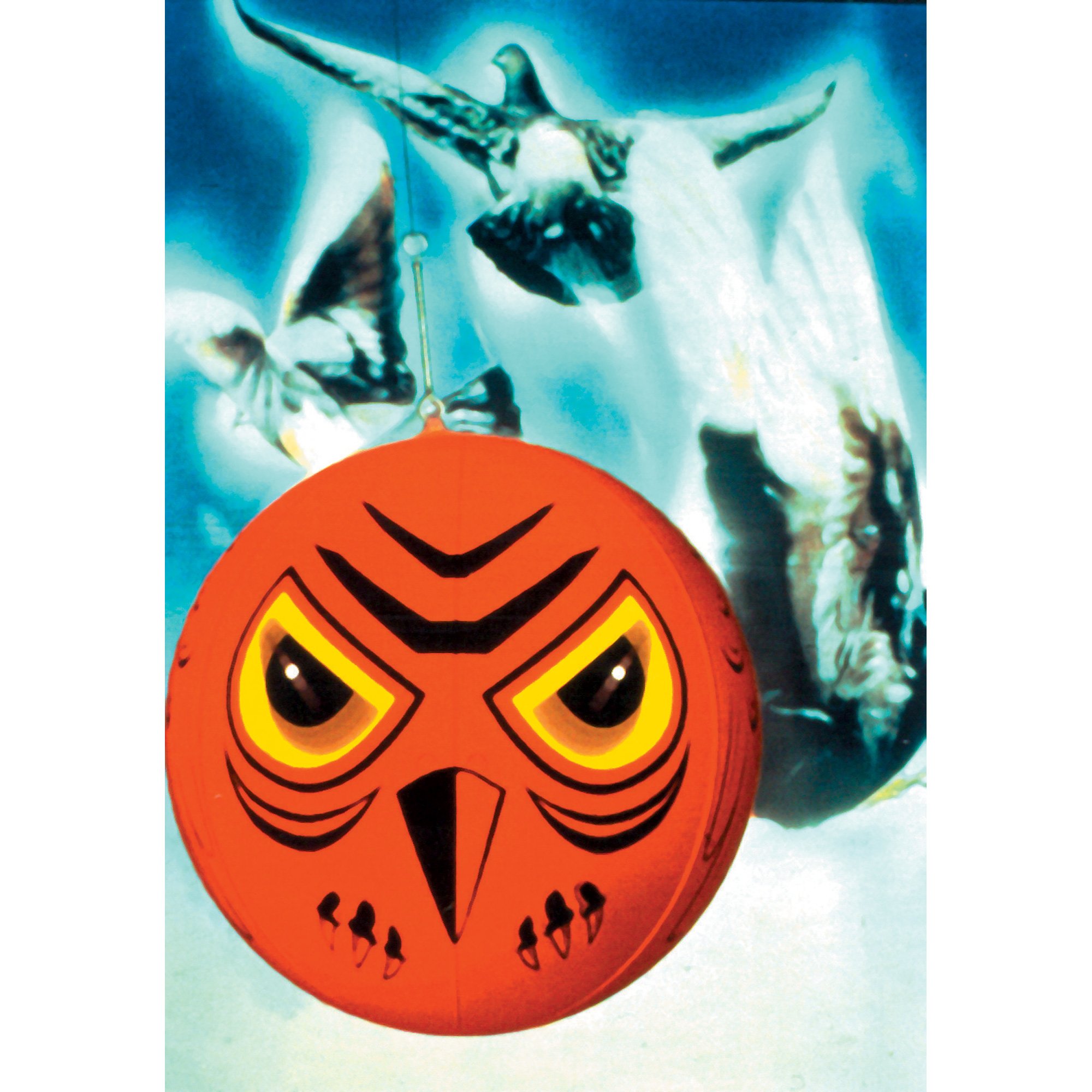 Bird-X “Terror Eyes” Bird Chaser | Northern Tool