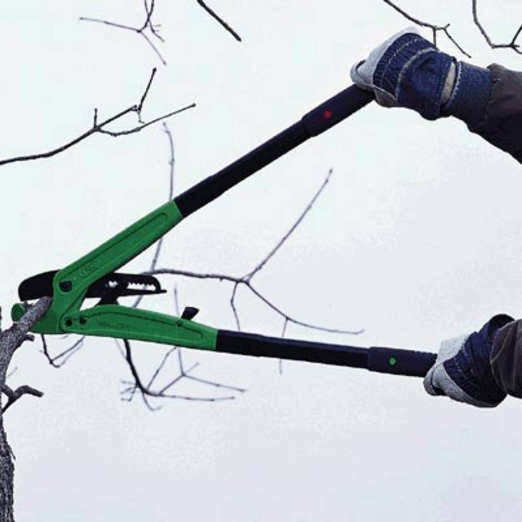 Power Lopper | Northern Tool