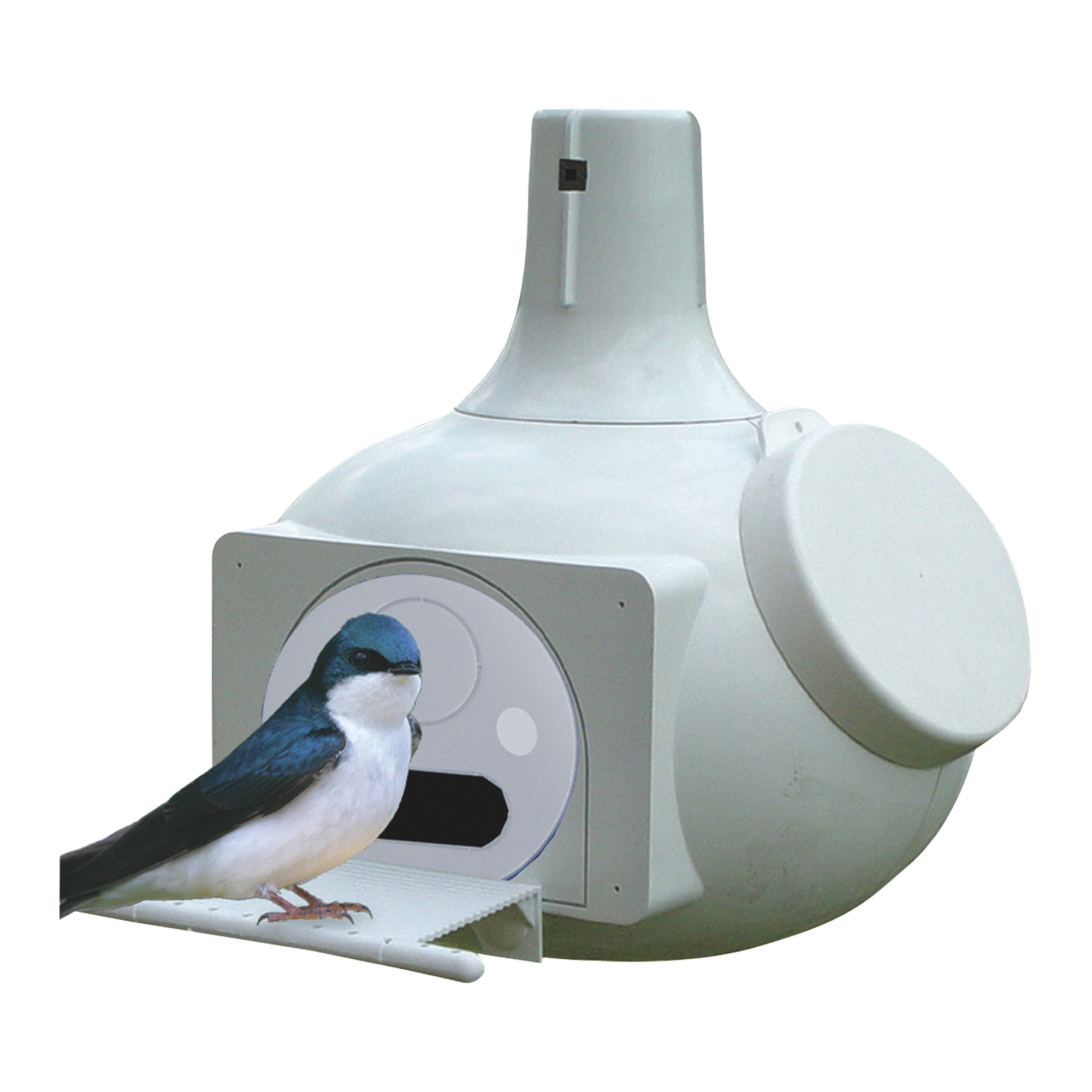 Purple Martin, Tree Swallow + Blue Bird Gourd Birdhouse, Model# BO9 ...