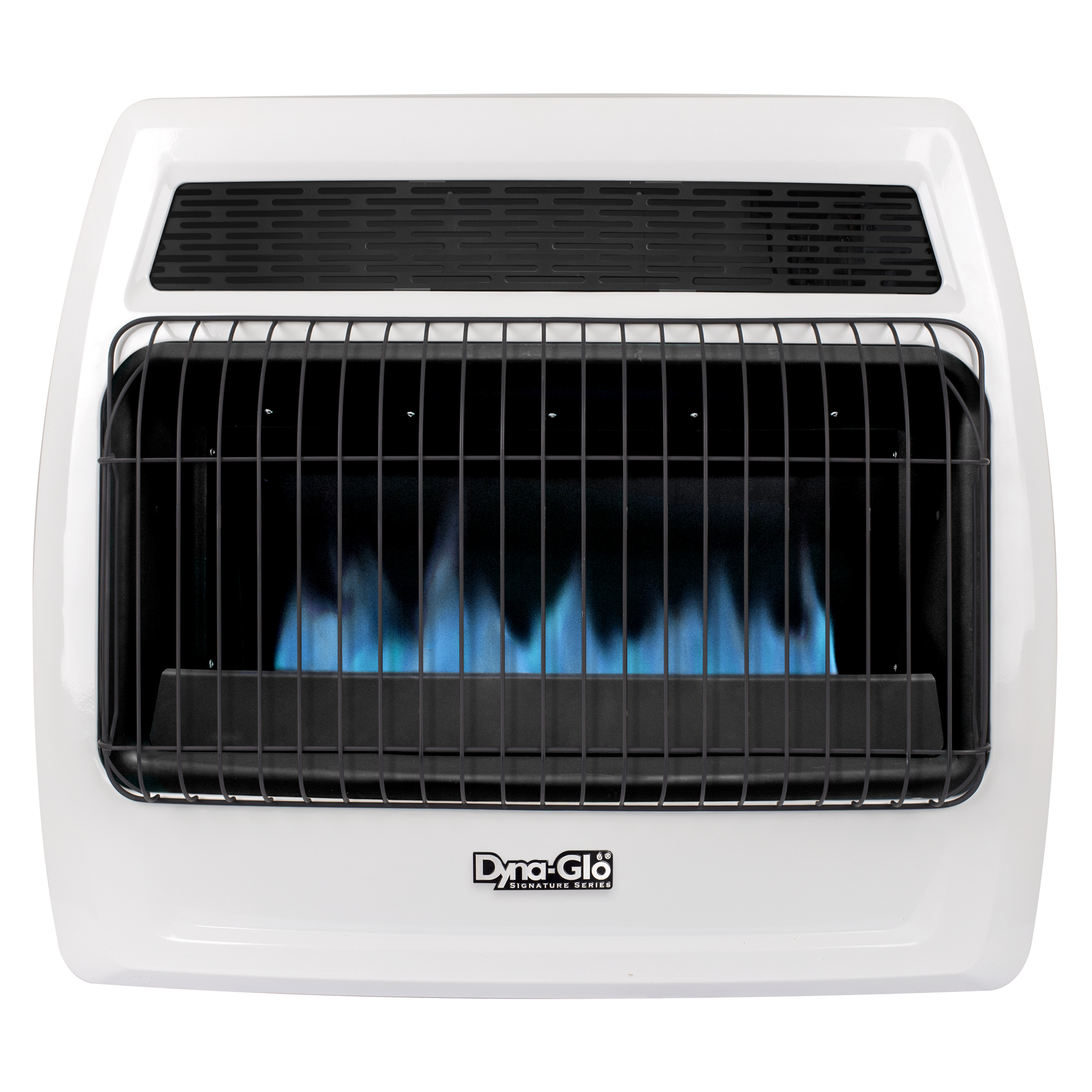 HouseWarmer Slim-Profile Direct Vent Heater with Blower, Propane ...