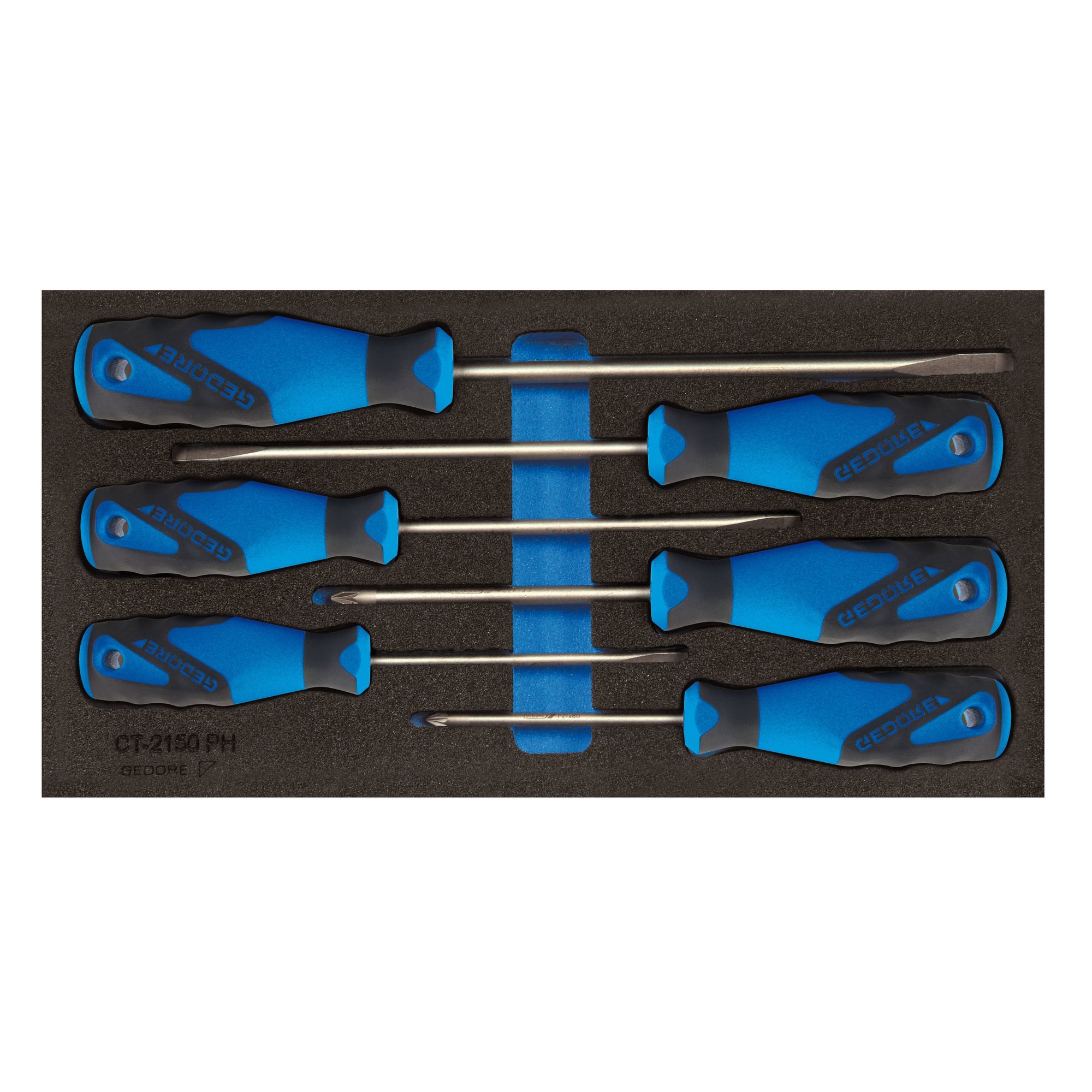 Gedore, Screwdriver set in 1/3 Check-Tool-Module, Drive Type ...