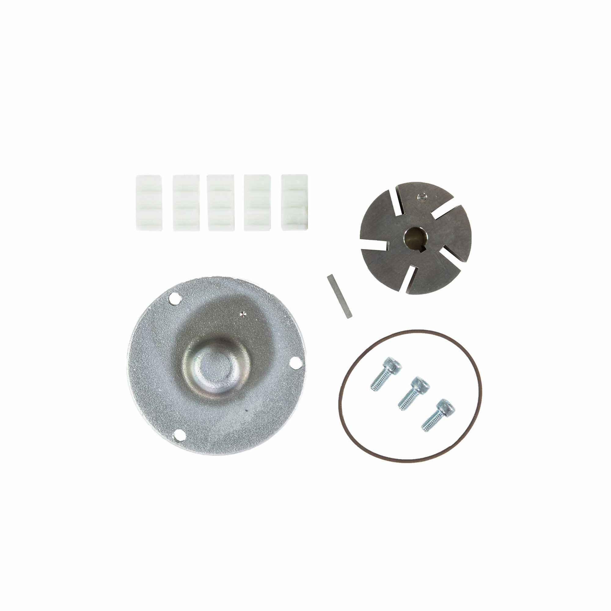 Fill-Rite Repair Kit for Stainless Steel DEF Pumps, Model# KITFR32V ...