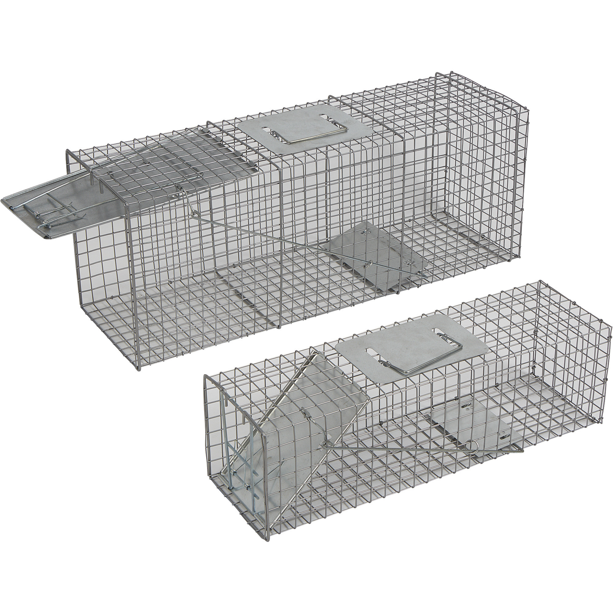 Grip 2-Trap Value Pack of Catch and Release Live Animal Traps, 1 Large ...
