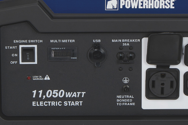 Powerhorse Portable Generator, 11,050 Surge Watts, 8400 Rated Watts ...