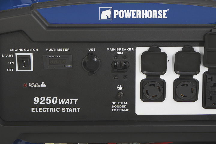 Powerhorse Portable Generator, 9250 Surge Watts, 7500 Rated Watts ...