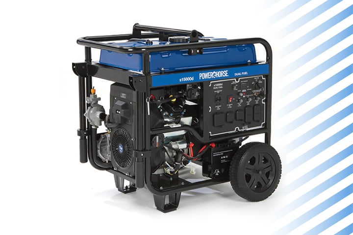 Powerhorse Dual-Fuel Generator, 15,000 Surge Watts, 12,000 Rated Watts ...