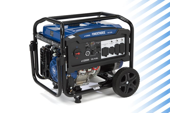 Powerhorse Portable Tri-Fuel Generator with Electric Start, 12,500 ...