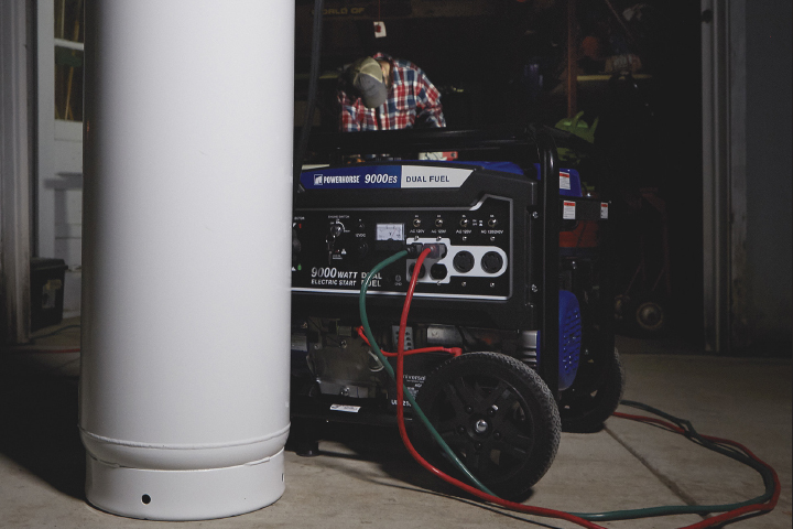 Powerhorse Dual Fuel Generator, 9000 Surge Watts, 7250 Rated Watts ...