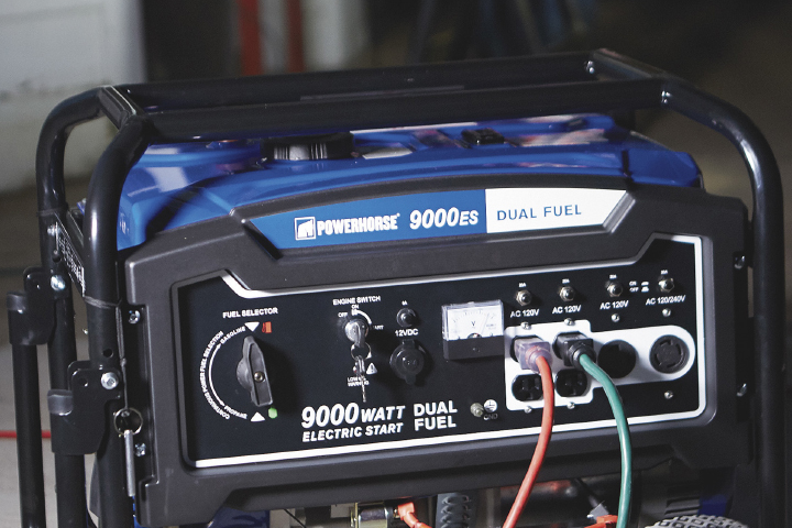 Powerhorse Dual Fuel Generator, 9000 Surge Watts, 7250 Rated Watts ...