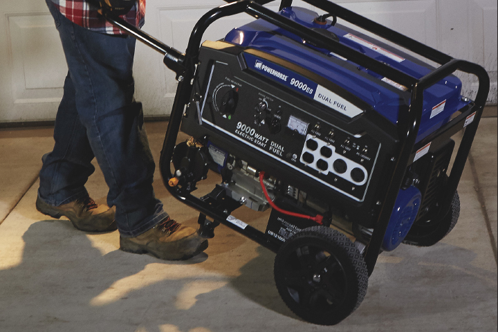 Powerhorse Dual Fuel Generator, 9000 Surge Watts, 7250 Rated Watts ...