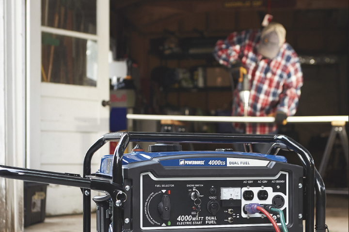 Powerhorse Dual Fuel Generator, 4000 Surge Watts, 3240 Rated Watts ...