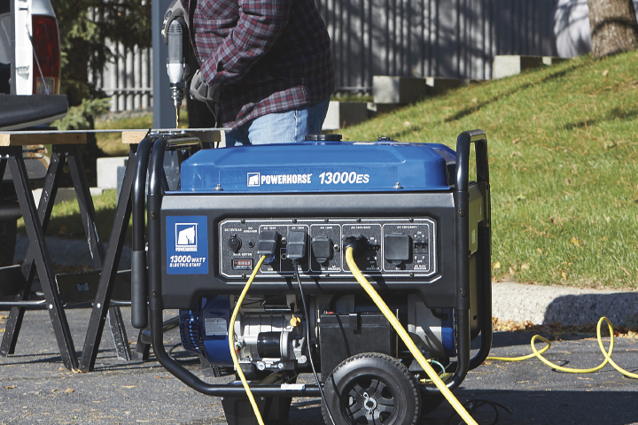 Powerhorse Portable Generator, 13,000 Surge Watts, 10,000 Rated Watts ...
