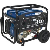 Powerhorse Dual Fuel Generator, 9000 Surge Watts, 7250 Rated Watts ...
