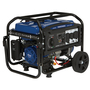 Powerhorse Portable Dual Fuel Generator, 4500 Watts | Northern Tool