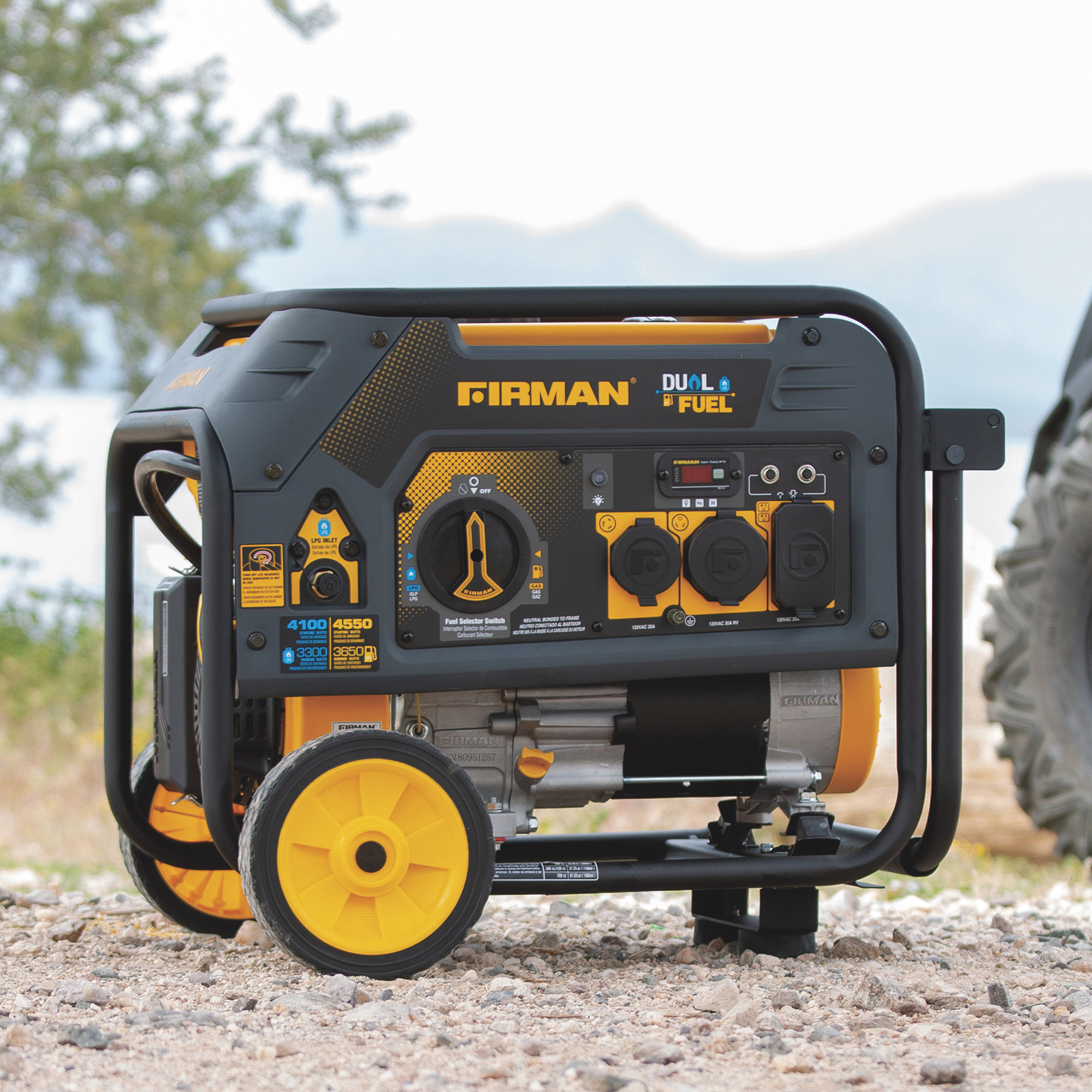 Firman Portable Dual Fuel Generator, 4550 Surge Watts, 3650 Rated Watts ...
