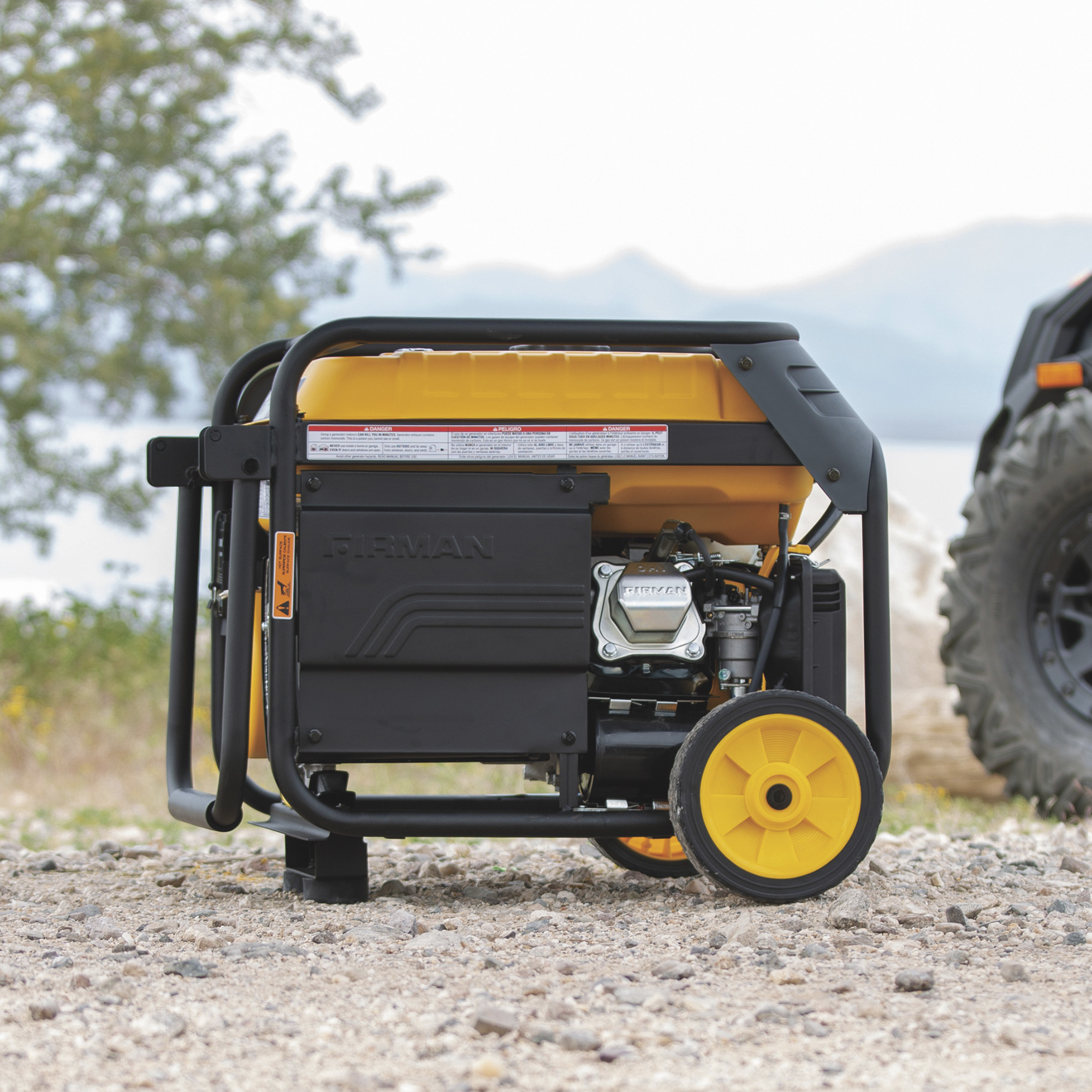 Firman Portable Dual Fuel Generator, 4550 Surge Watts, 3650 Rated Watts ...