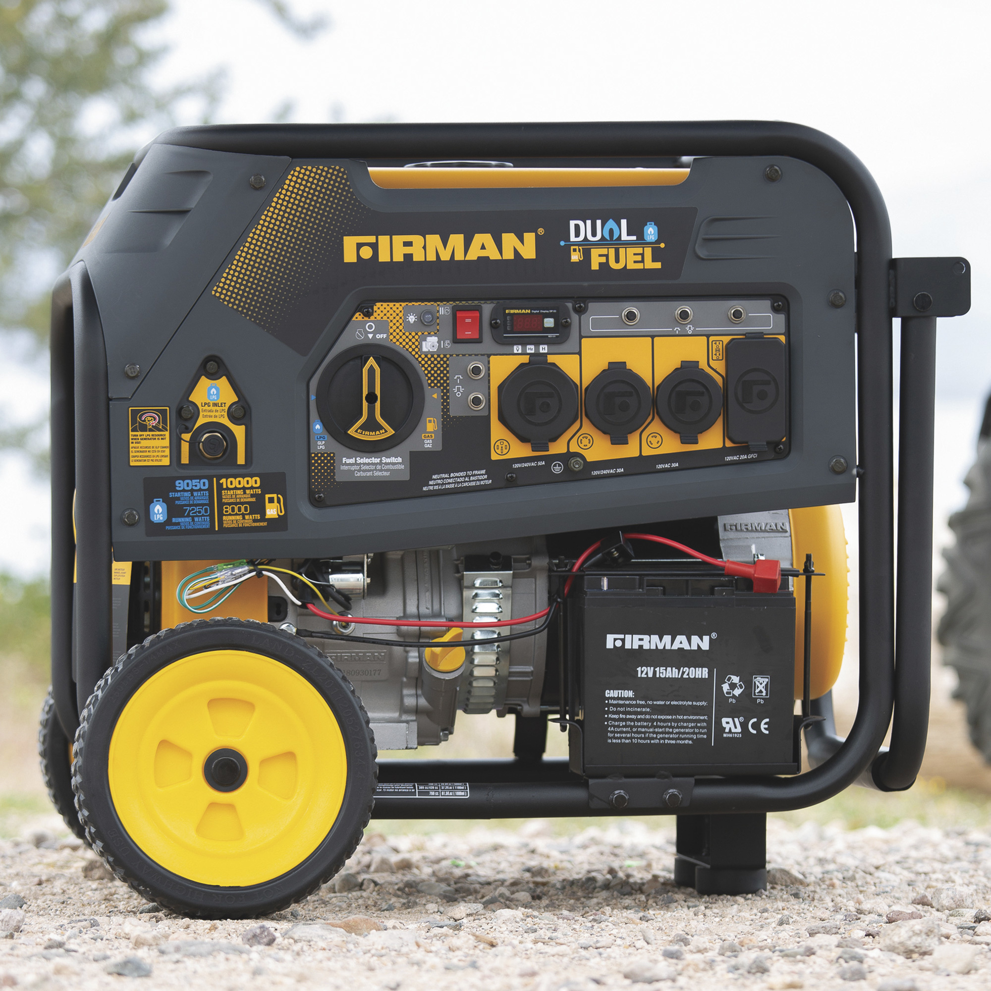 Firman Portable Dual Fuel Generator, 10,000 Surge Watts, 8000 Rated ...