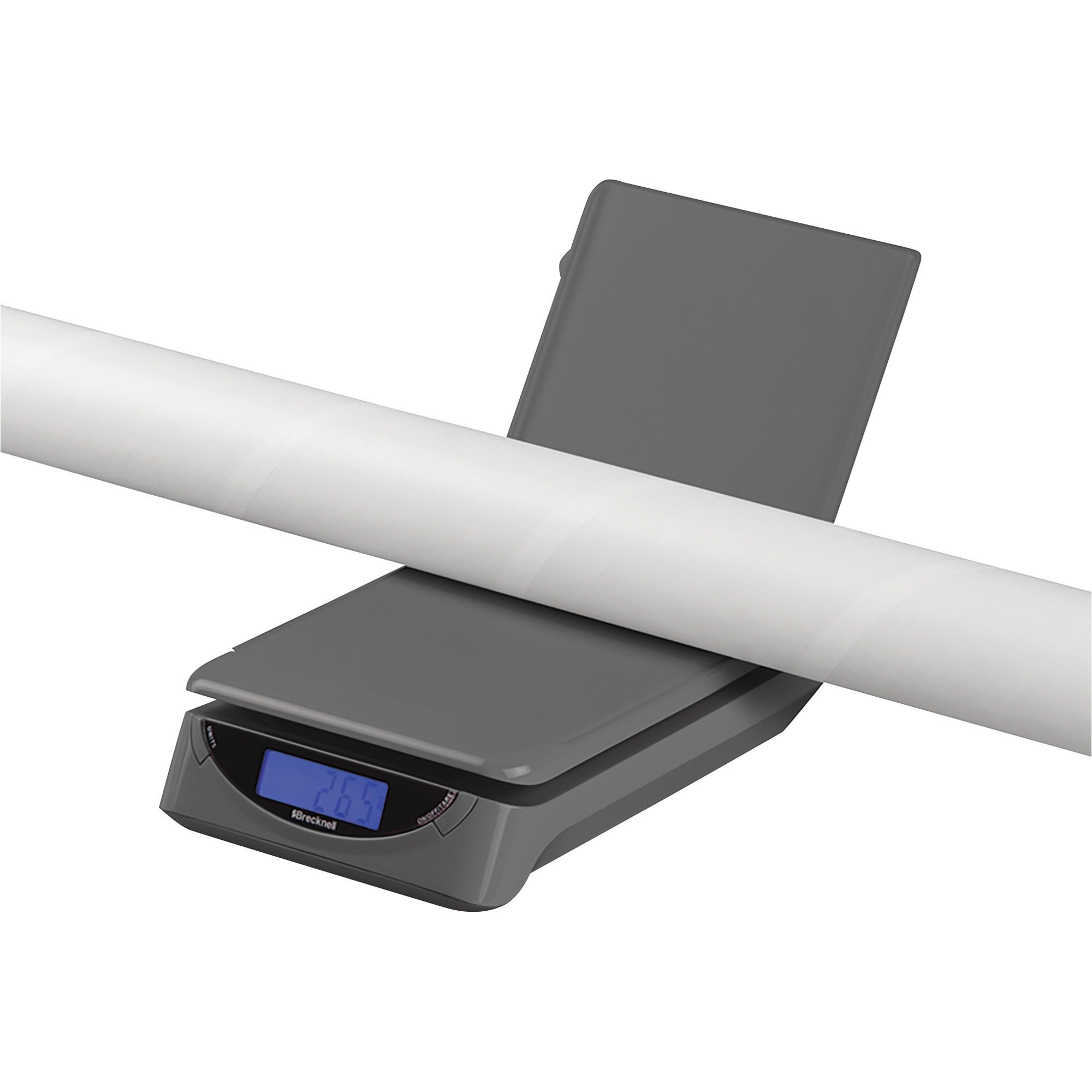 Brecknell PS25 Postal Shipping Scale with USB Interface, 25-lb ...