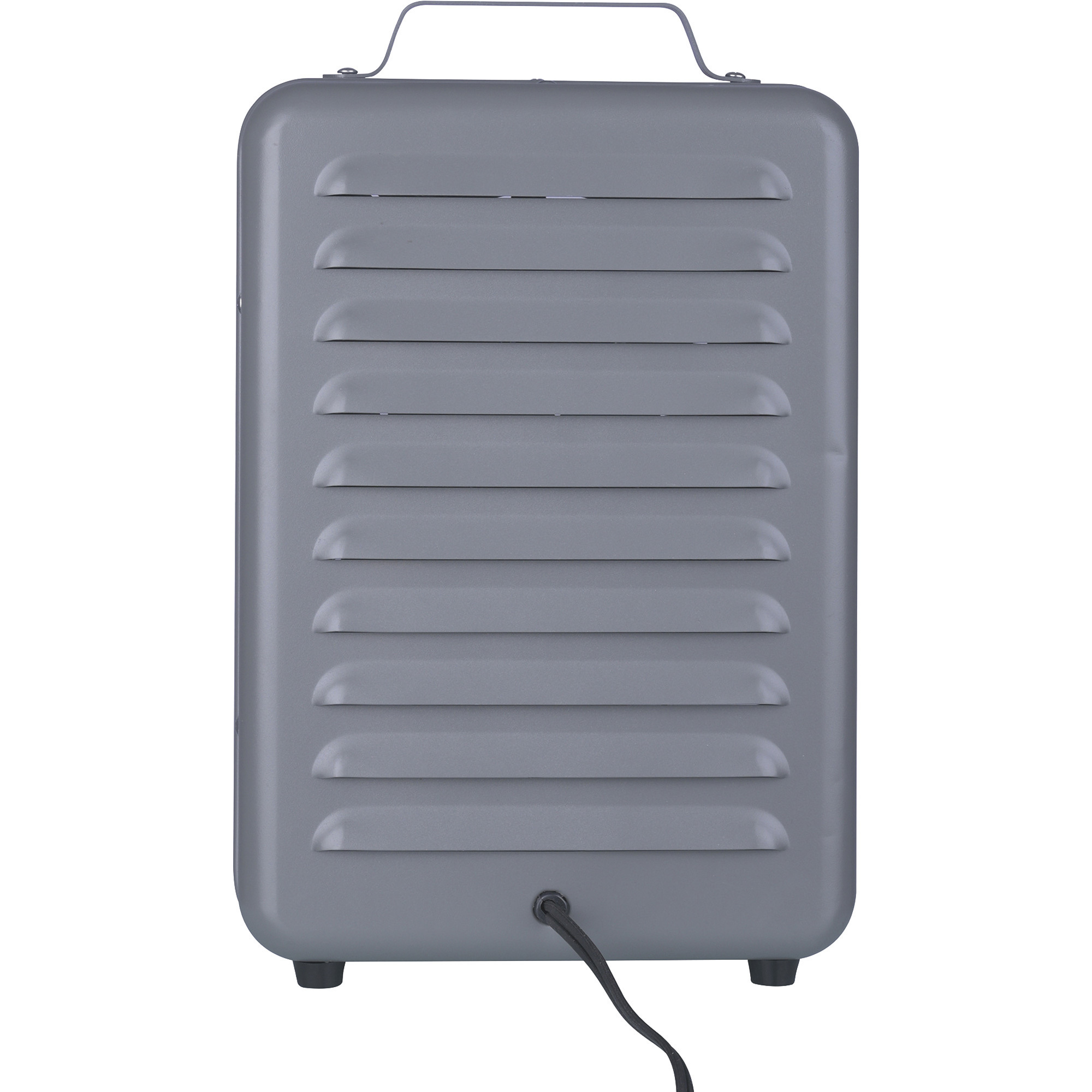 Lifeplus Deluxe Portable Electric Milkhouse Heater, 5120 BTU, 120 Volt ...