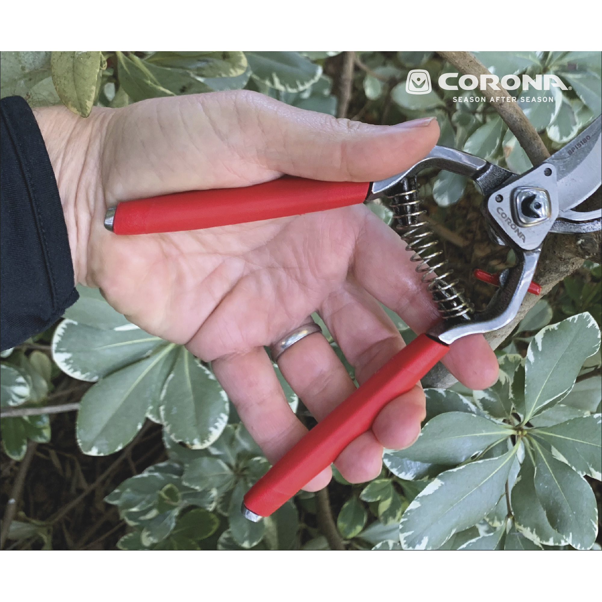 Corona Hand Pruner, 8.4in.L., Model# BP15180 | Northern Tool