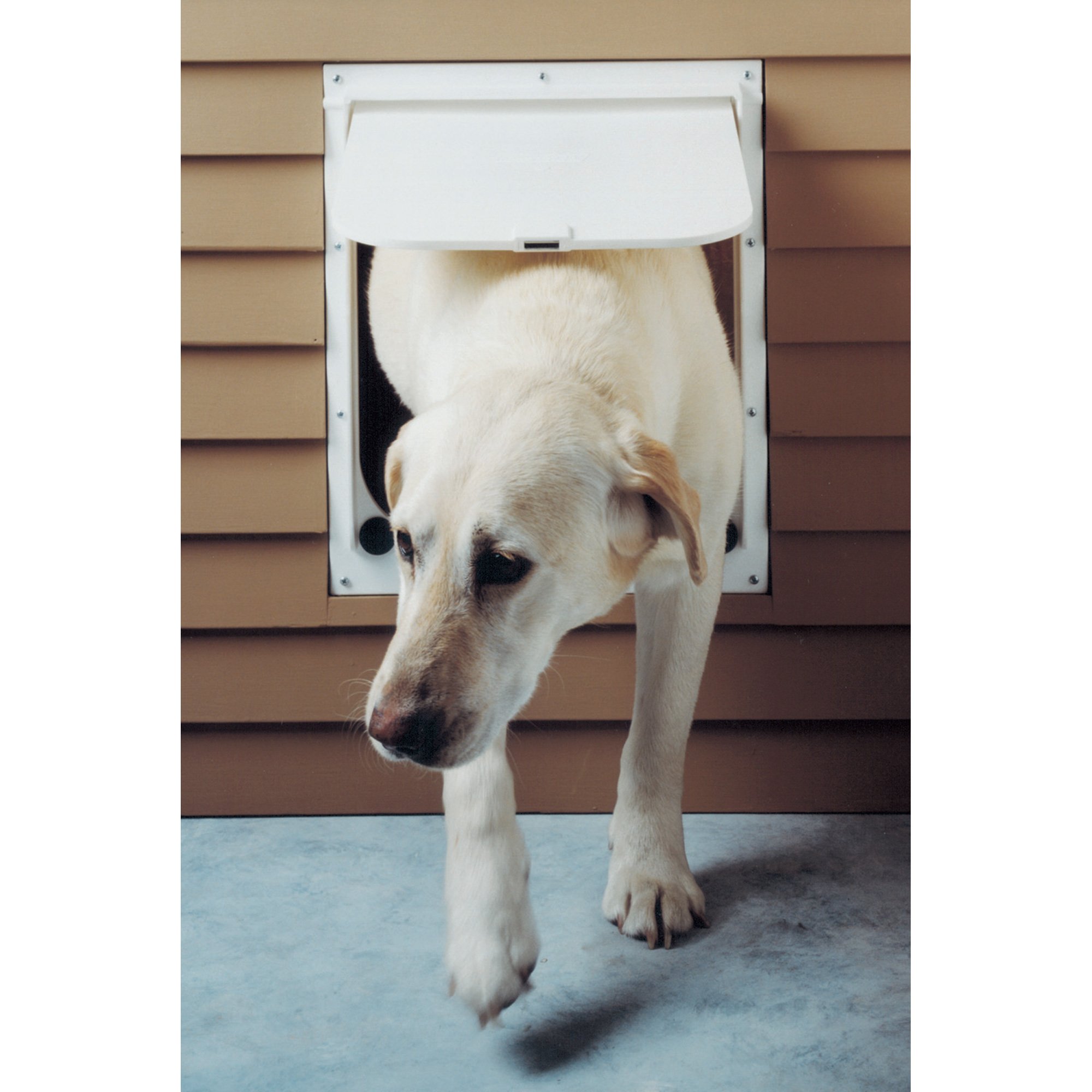 Magnador Two-Way Plastic Pet Door — 6In. x 8In. Opening, Model# PDI ...