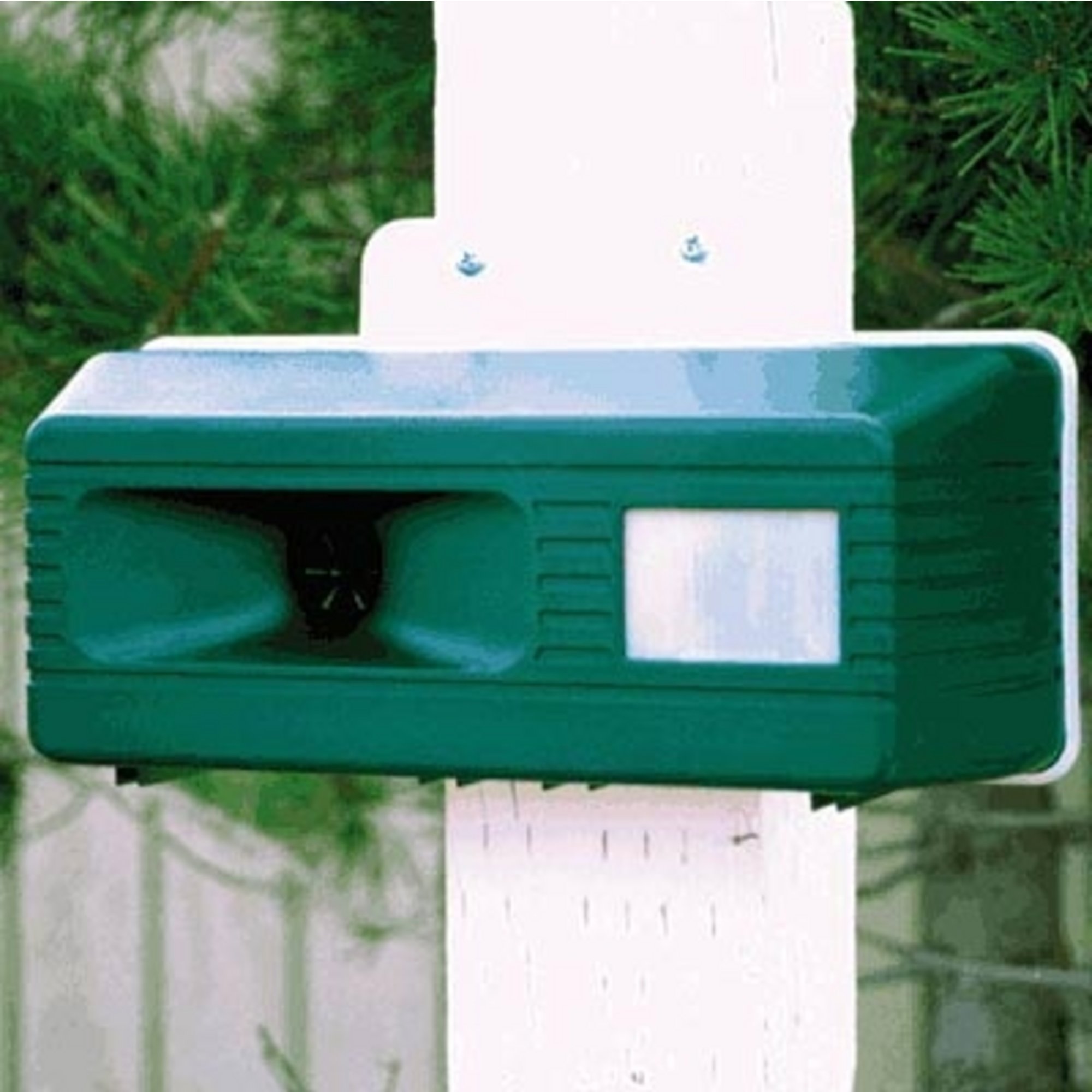 Electronic Yard Protector With Motion Sensor Repels Animals up to 4000 ...