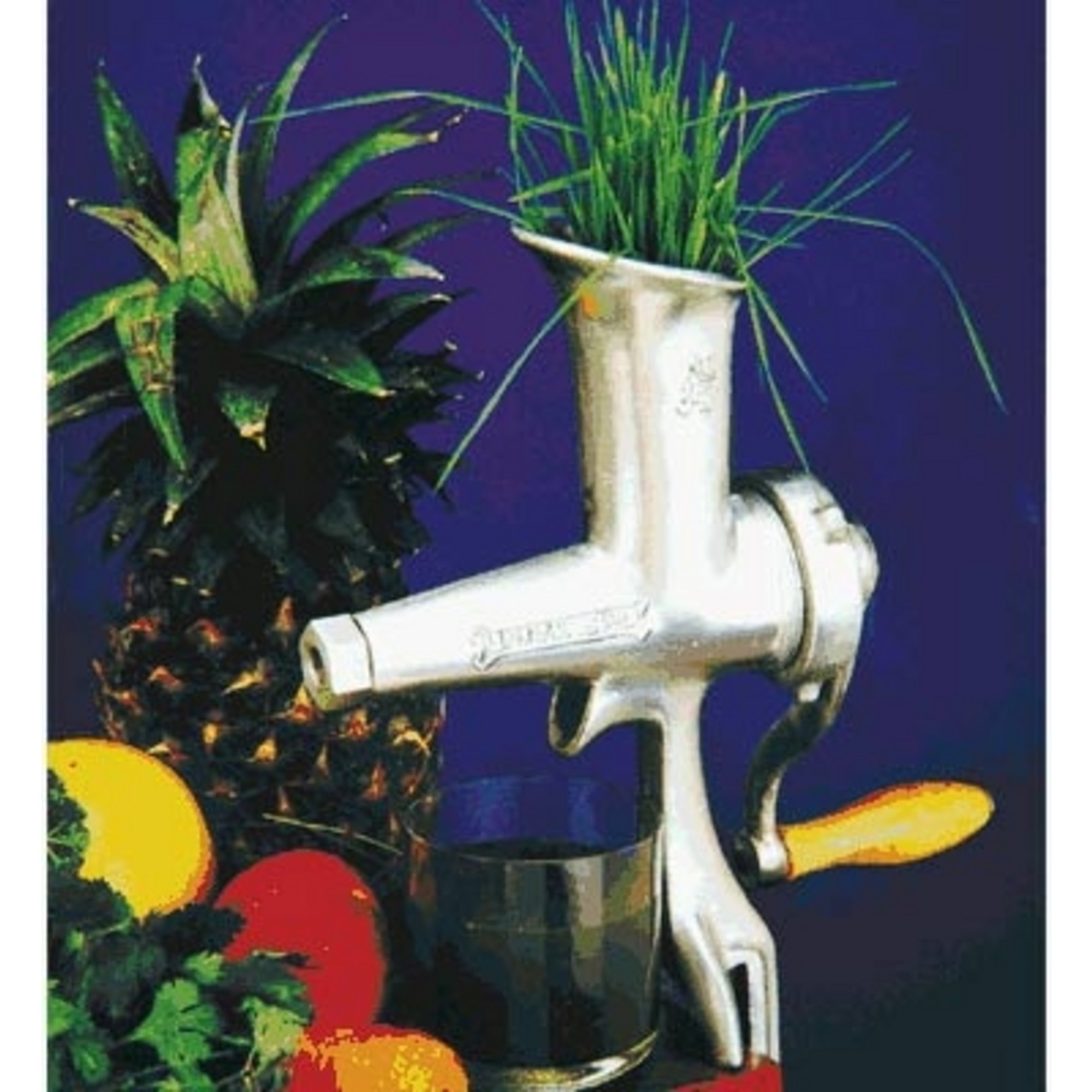 Wheat Juicer/Chopper | Northern Tool
