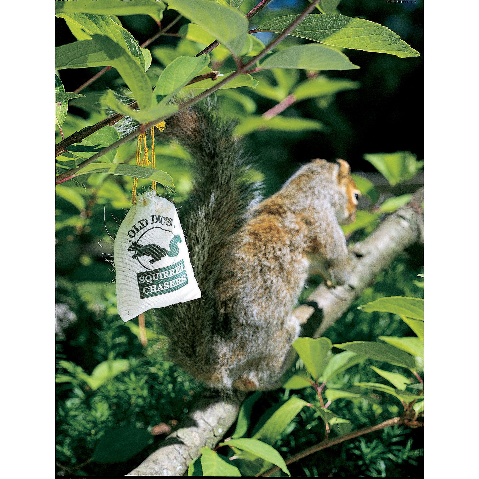 Squirrel Chaser Pack — 3-Pc. Set | Northern Tool