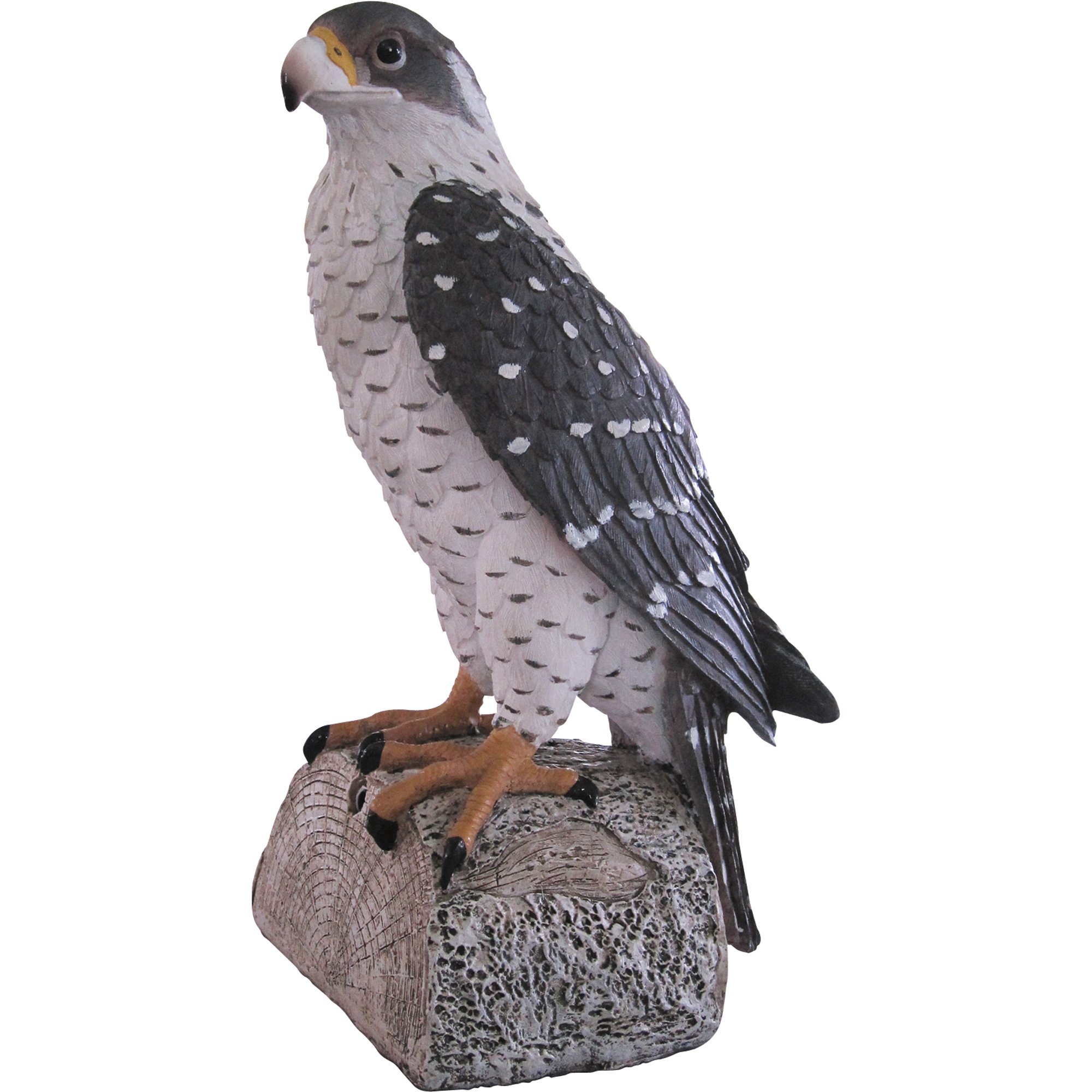 Peregrine Falcon Decoy with Motion-Activated Sound Effects, Model# FP ...