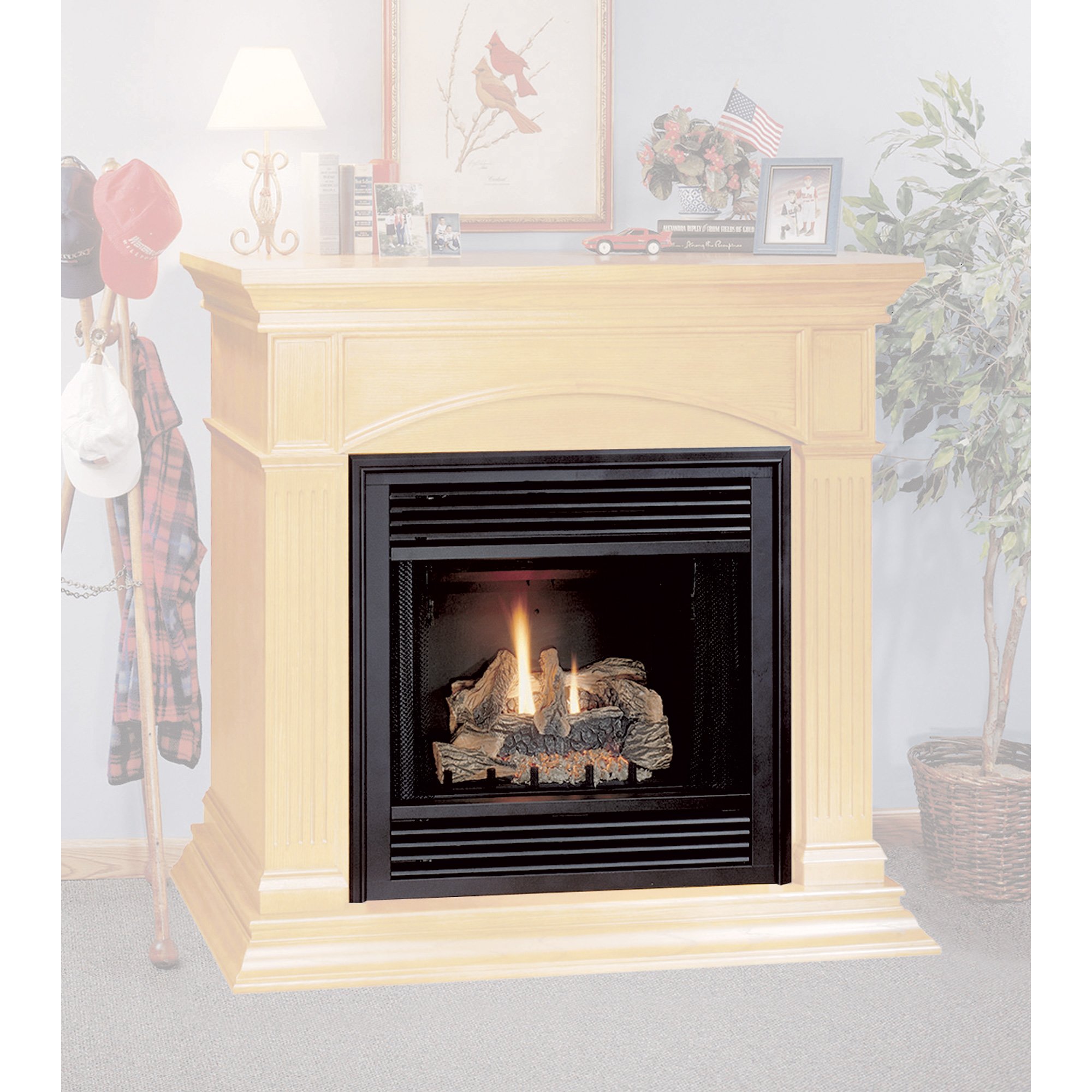 Comfort Flame Natural Gas Fireplace — 32in., Model# CGDV32NR | Northern ...