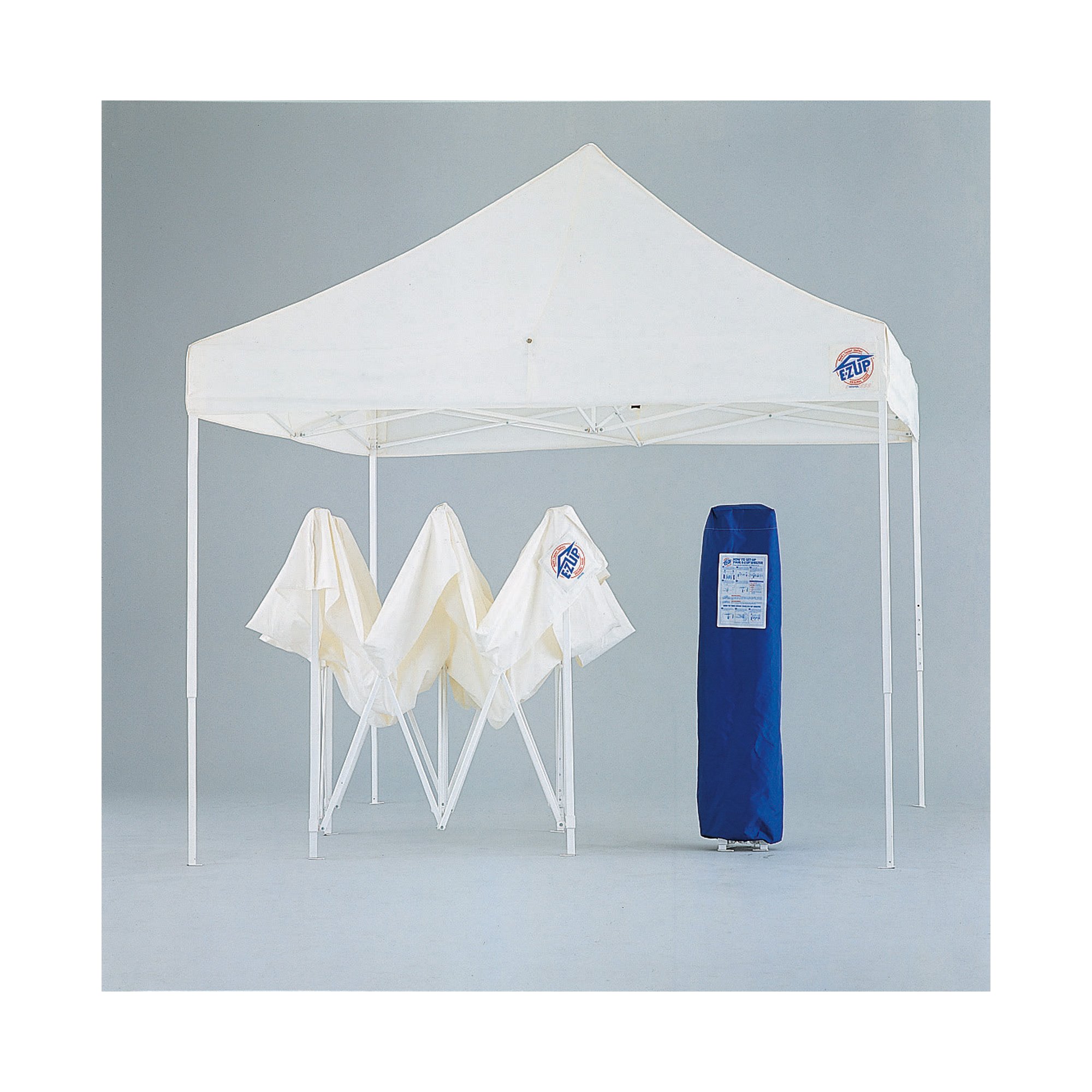 EZ Up Portable Canopy — 10ft. x 10ft. | Northern Tool