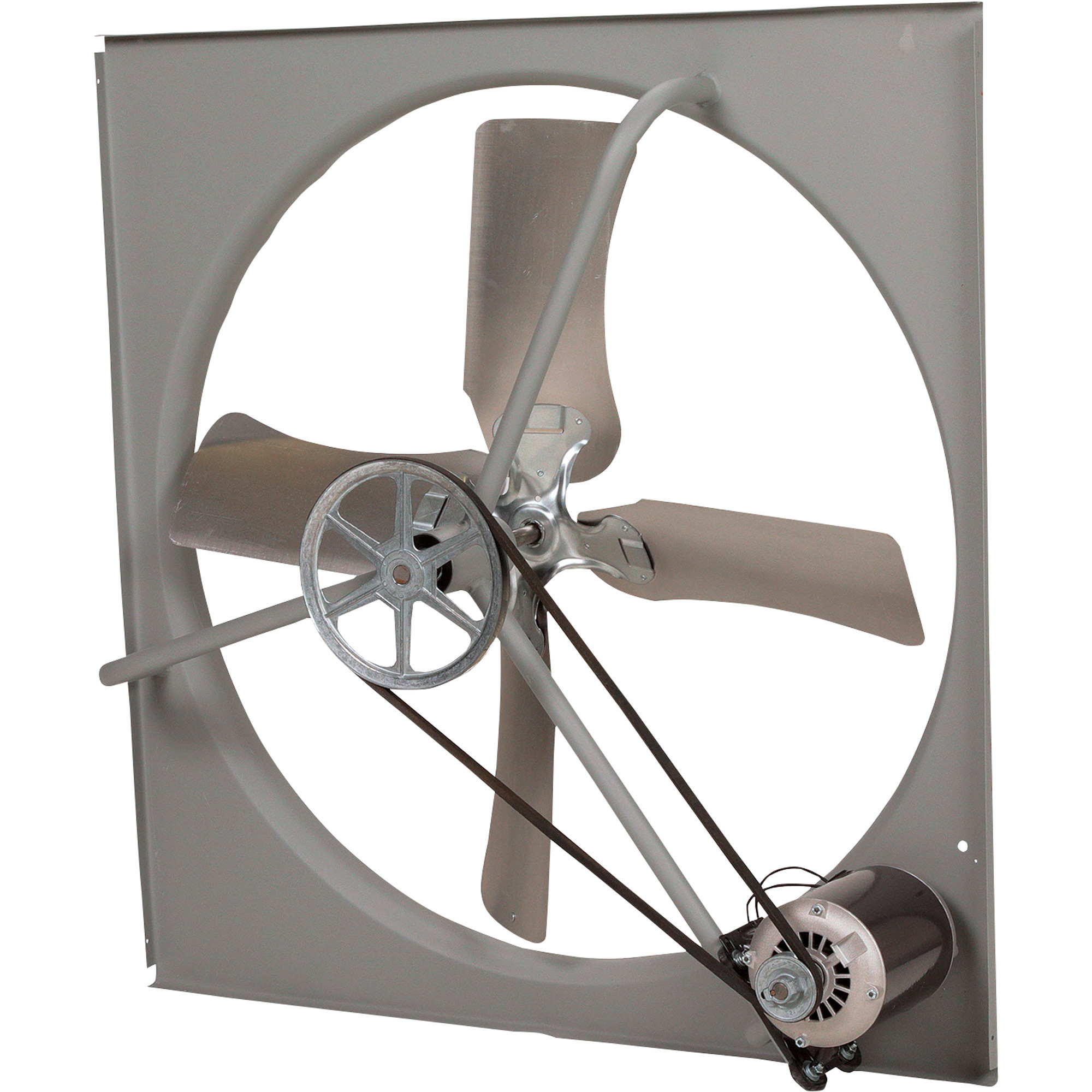 TPI Commercial Belt Drive Single Phase Exhaust Fan — 36in., 14,000 CFM ...