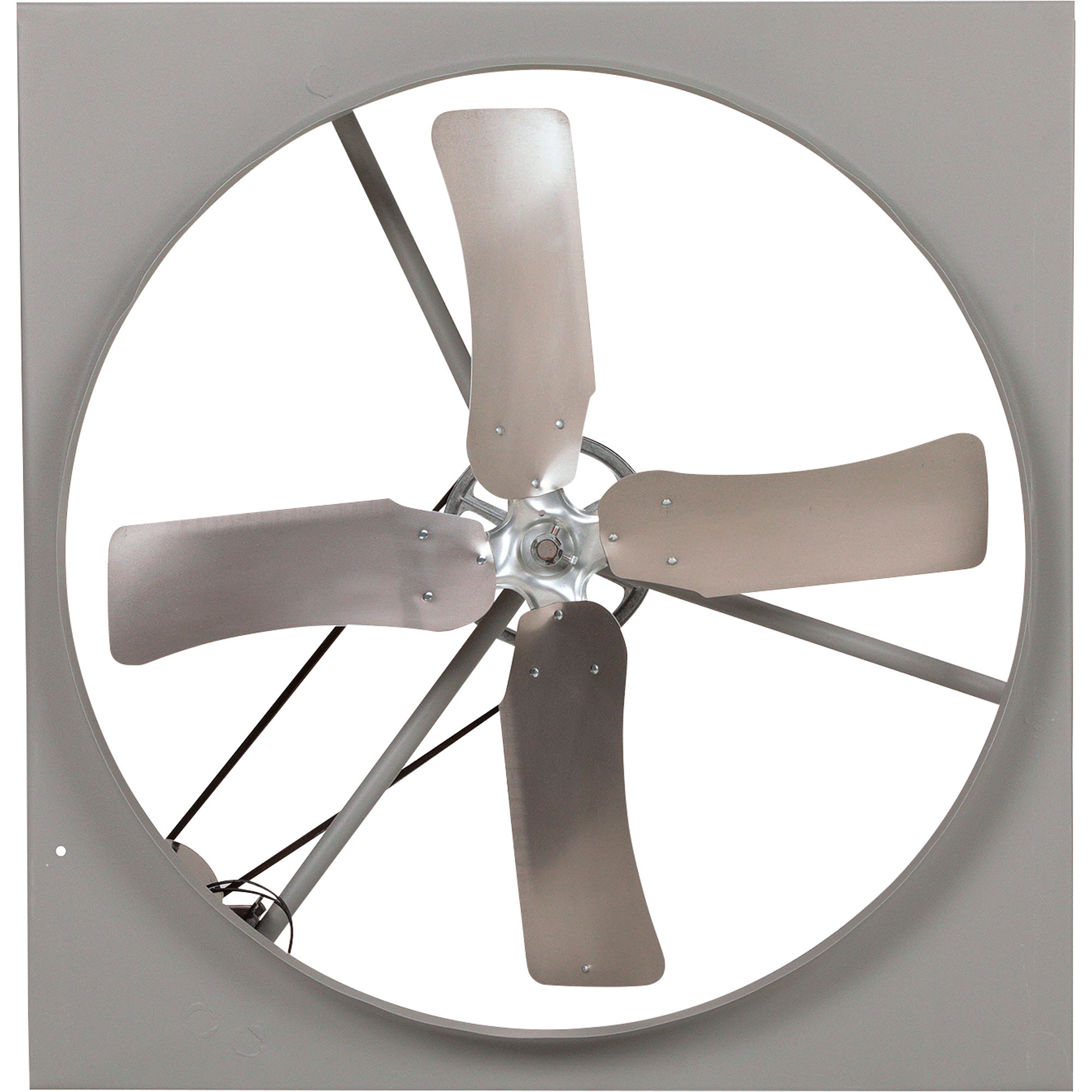 TPI Commercial Belt Drive Single Phase Exhaust Fan — 36in., 14,000 CFM ...