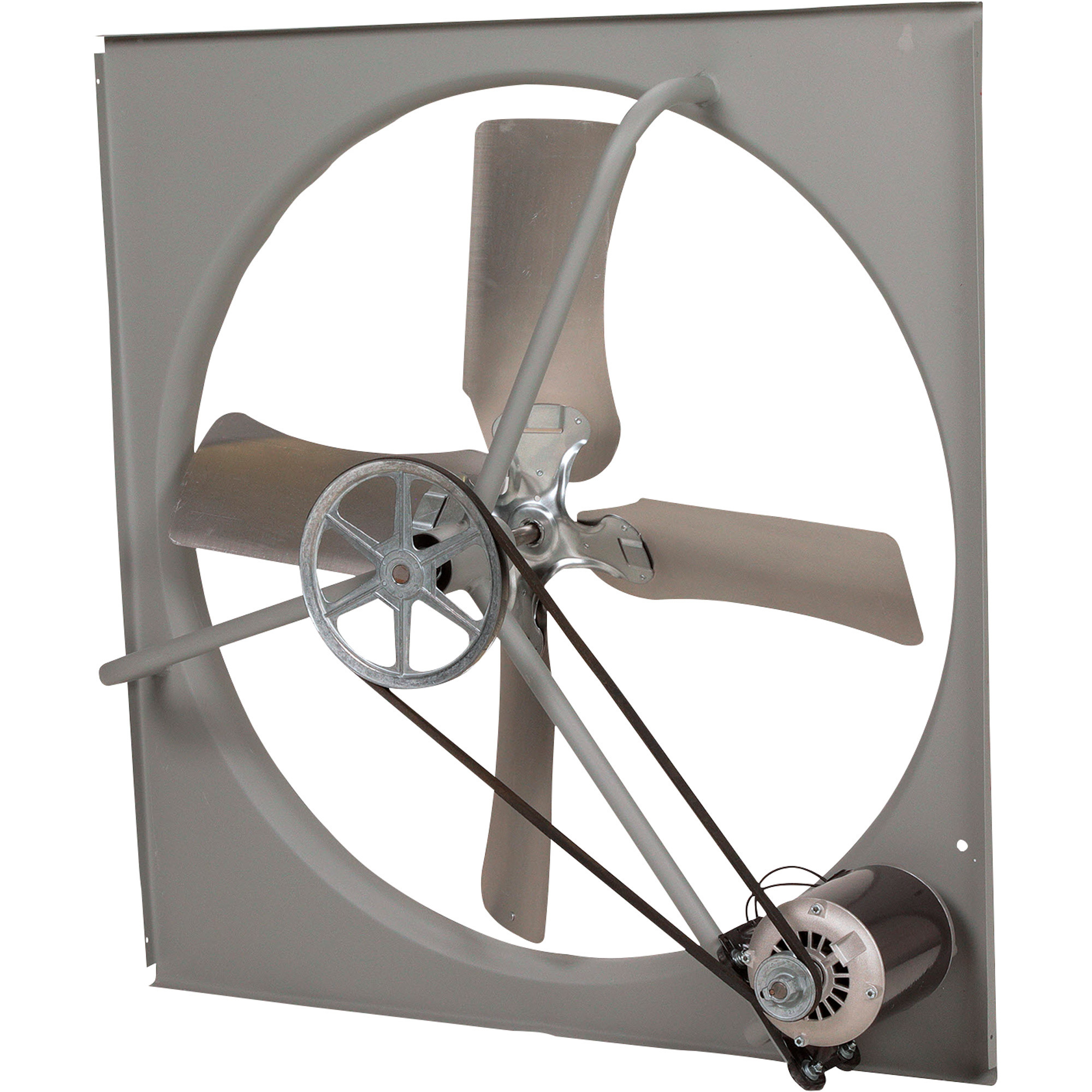 TPI Commercial Belt Drive Single Phase Exhaust Fan — 36in., 14,000 CFM ...