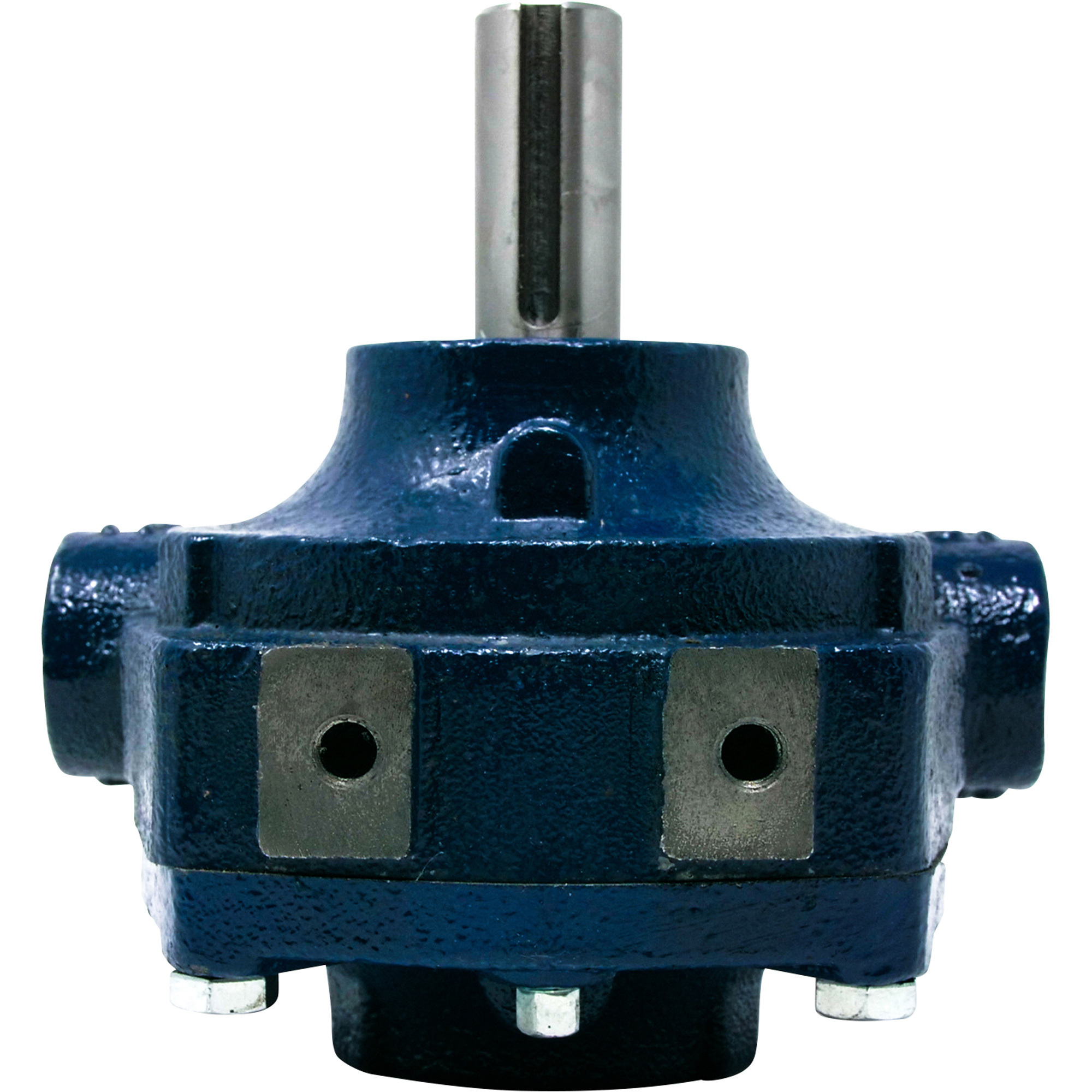 Delavan Cast Iron 8-Roller Pump, 24 GPM, 150 PSI, 1,000 RPM, Model ...