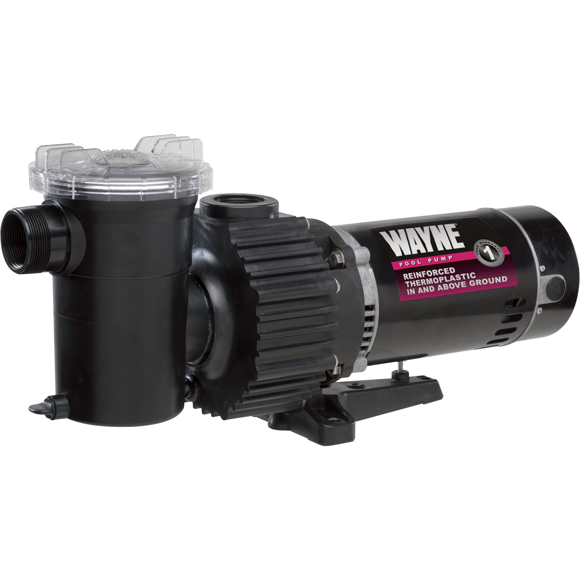 Wayne Self-Priming In-Ground Pool Water Pump — 3600 GPH, 9/10 HP, 1 1 ...