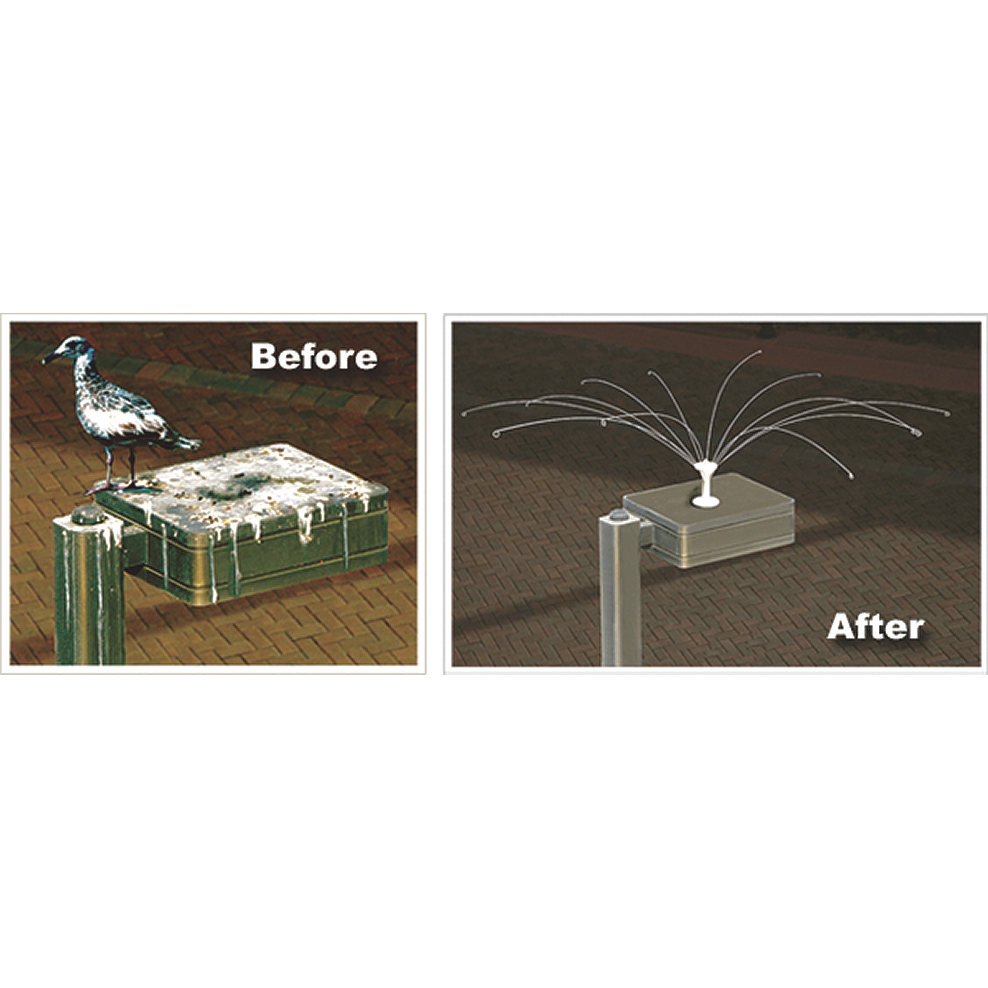 Bird-B-Gone Spider Bird Repeller — 2ft. Dia. x 8in.H, Model# NTBS800 ...