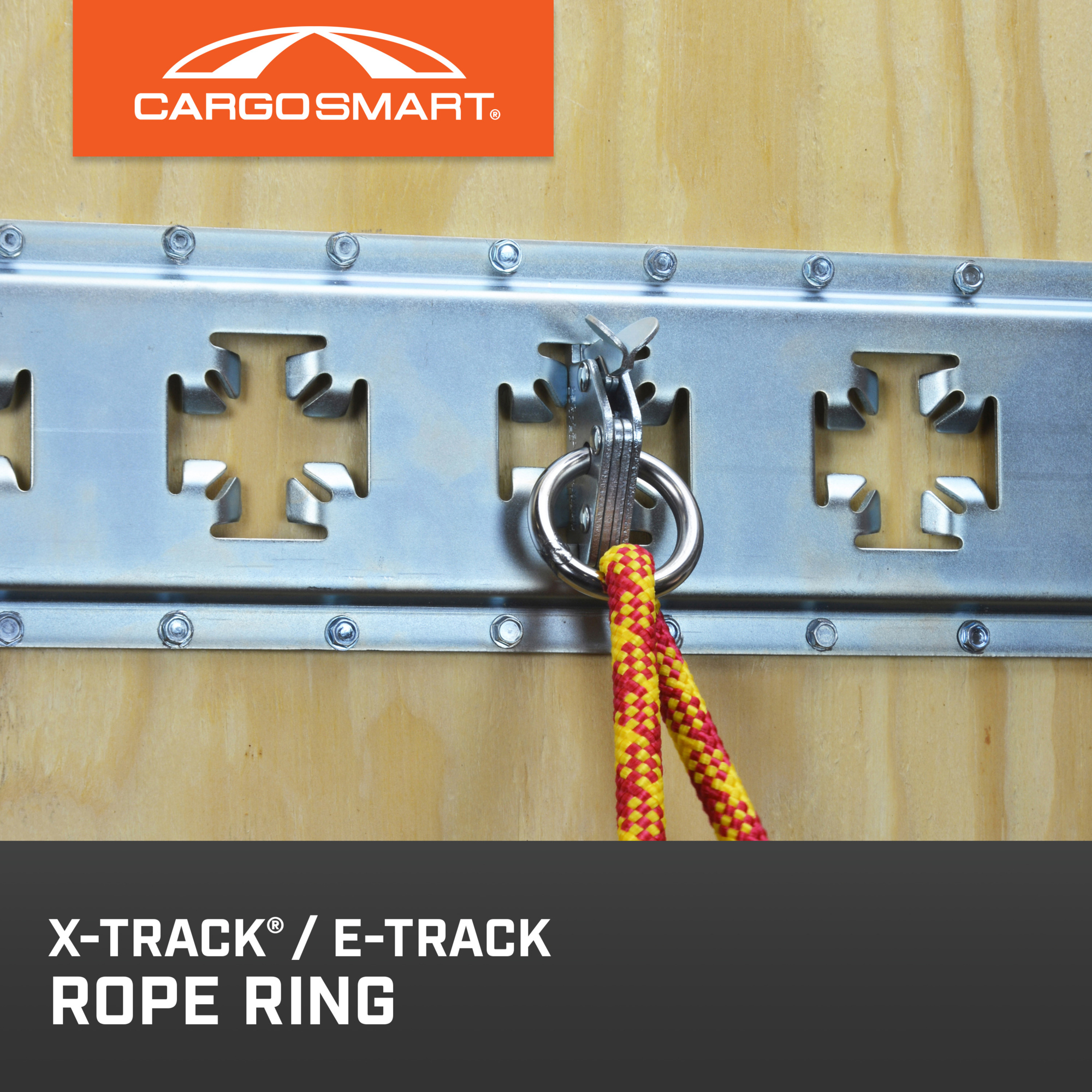 CargoSmart Rope Ring, 6000-Lb., For E-Track and X-Track | Northern Tool