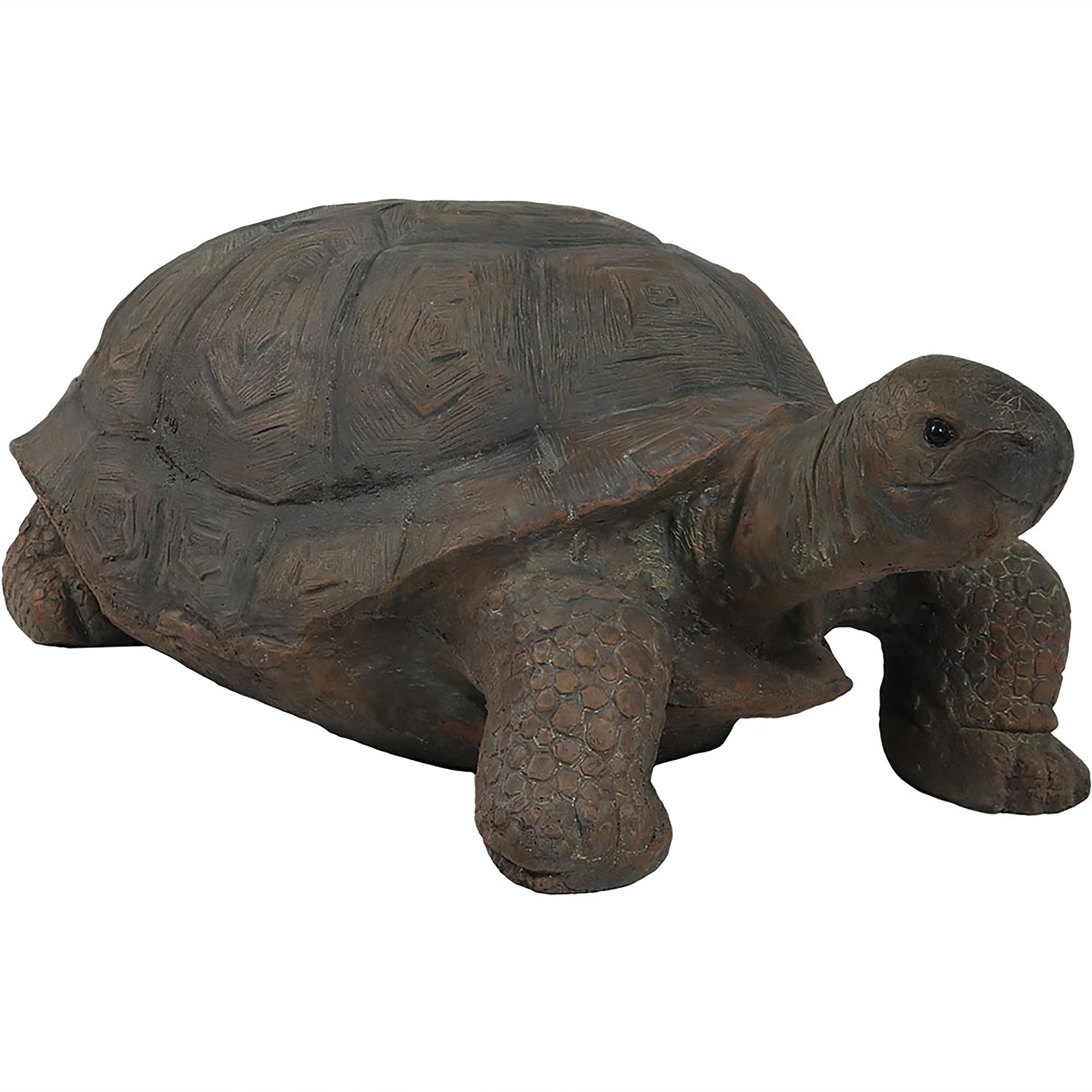 Sunnydaze Decor, Todd the Tortoise Indoor Outdoor Statue - 30in., Model ...