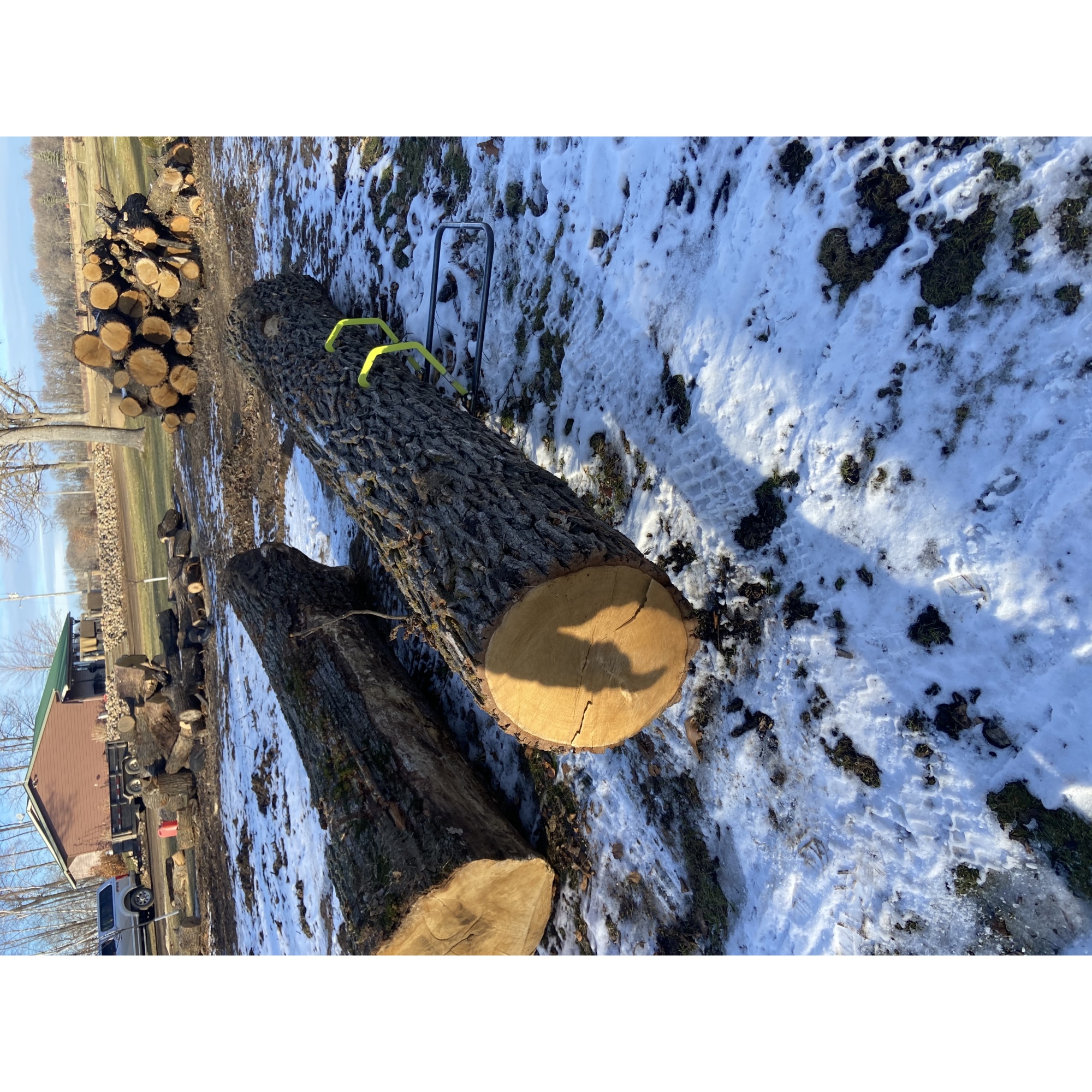 Timber Tuff Tools, Timberjack with double hooks, Length 3.8 ft, Model ...