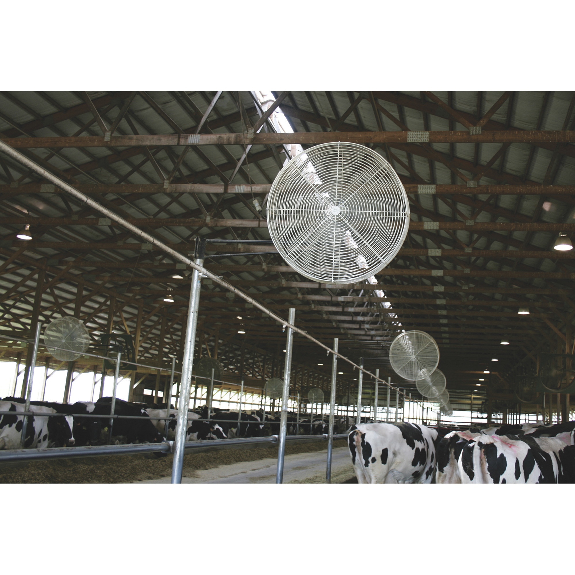 J & D Mfg. Agricultural Barnstormer Recirculation Fan, 36in., 9880 CFM ...