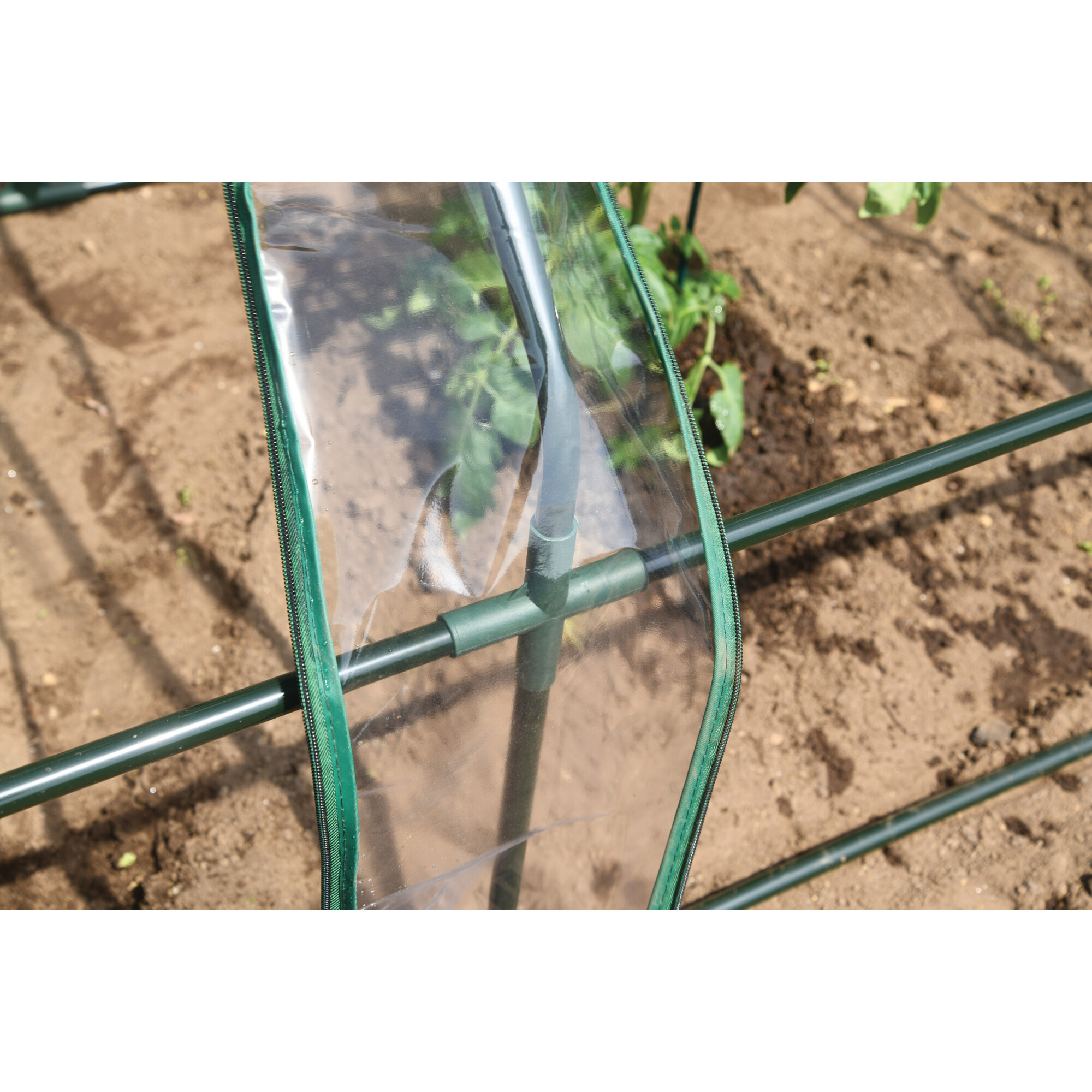 ShelterLogic GrowIT, Grow IT Small Greenhouse 3 x 8 x 3ft., Length 8 in ...