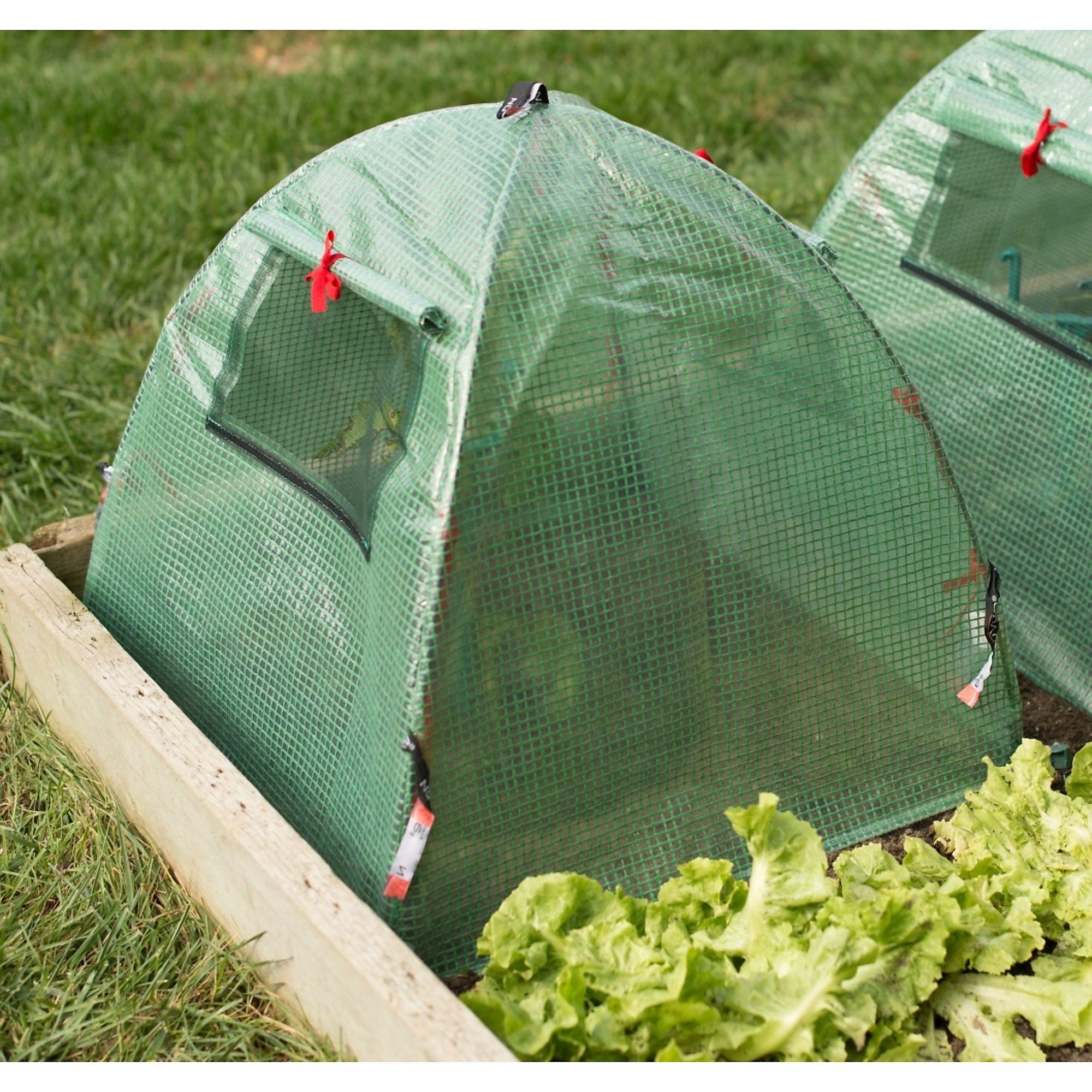 NuVue, 22in.x22in. Greenhouses/Accelerators, 2-Pack, Length 22 in ...