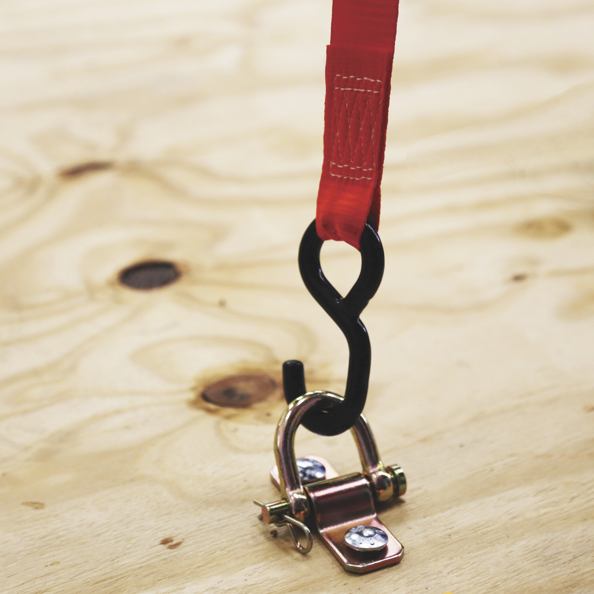 CargoSmart Removable D-Ring, 5000-Lb. Capacity, 3/8in., Model# 6556 ...