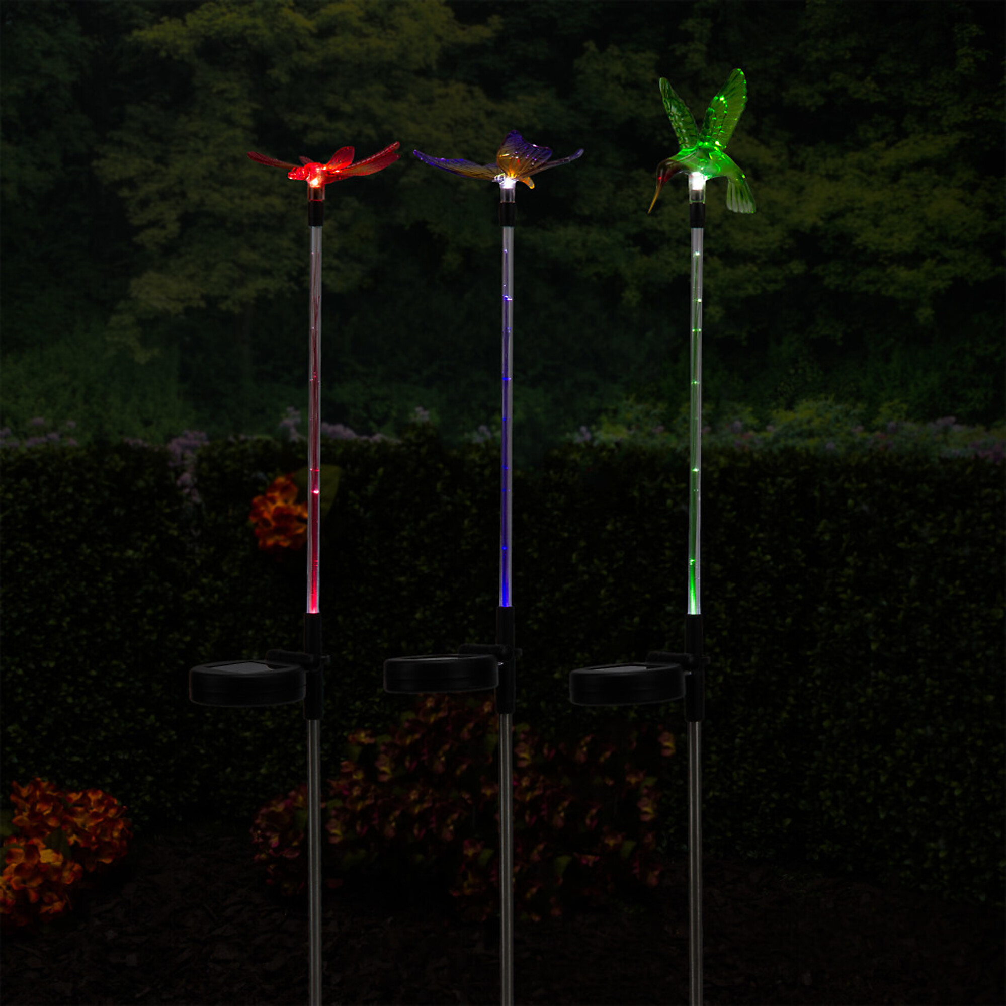 Alpine Corporation, Solar Insects/Bird Garden Stake with LEDs-Set of 3 ...