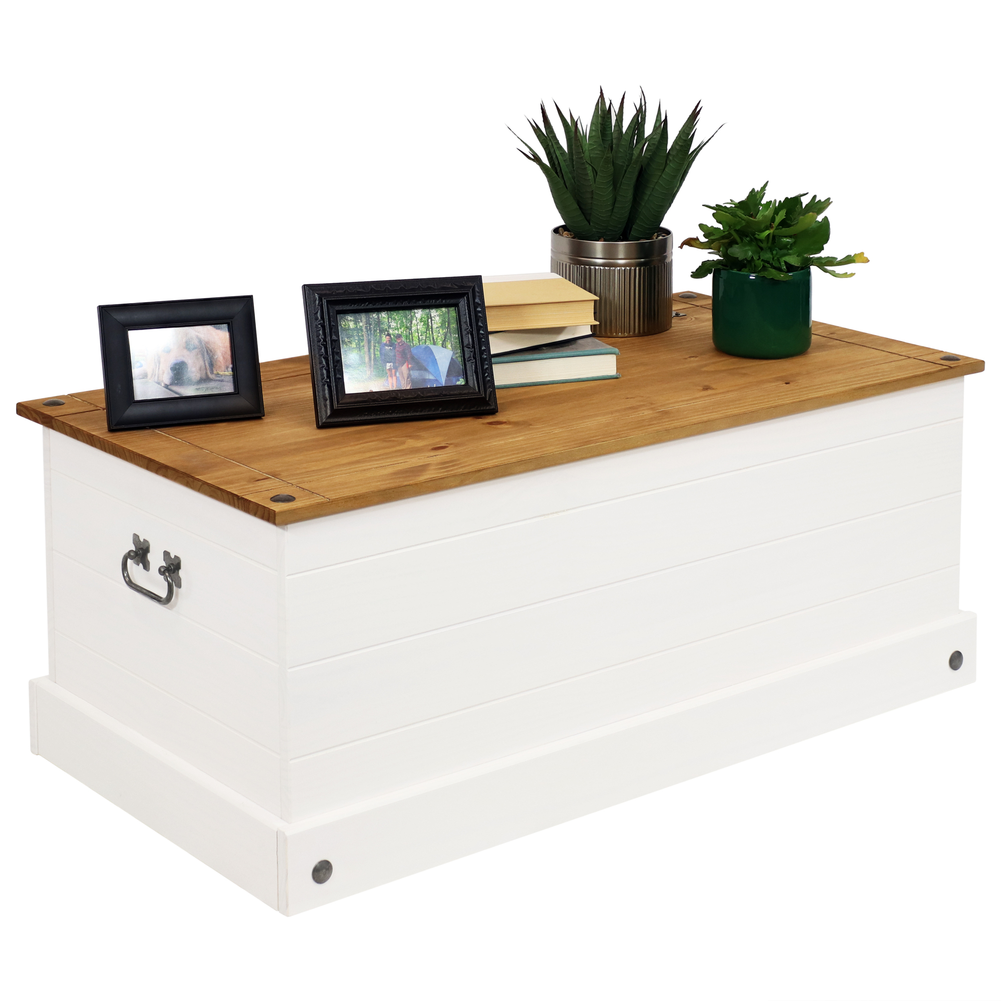 Sunnydaze Decor, Solid Pine Trunk with Handles - White, Height 16.75 in ...