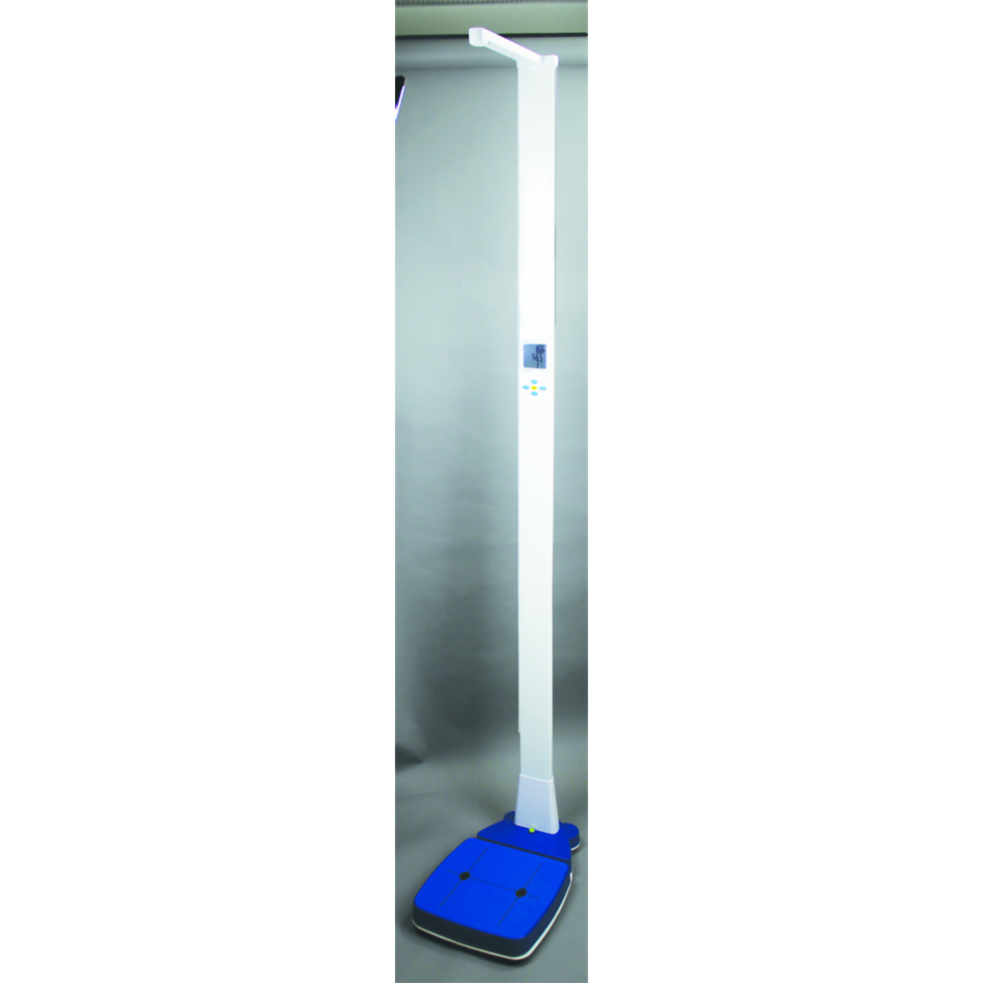 Adam Equipment, MUW Health and Fitness Scale 300kg x 0.05kg, Capacity ...