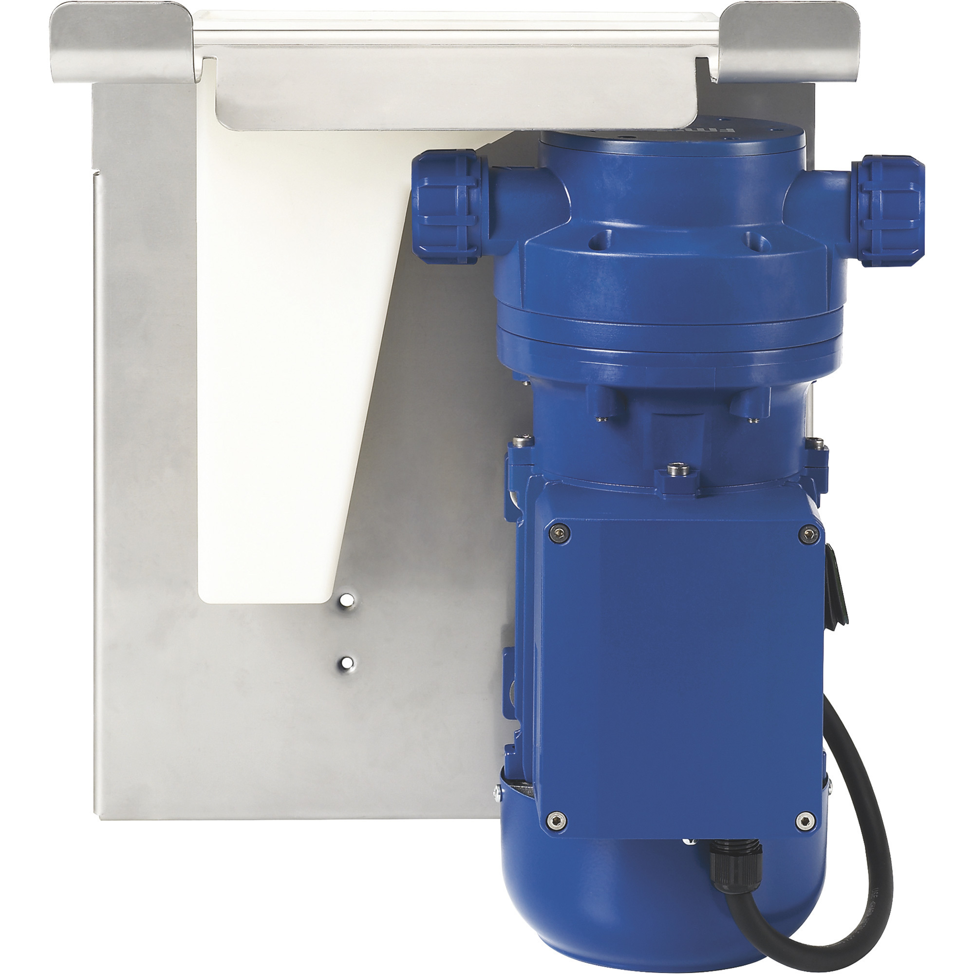 BlueDEF 120 Volt DEF Tote Pump System, 1/3 HP, 8-10 GPM, Stainless ...
