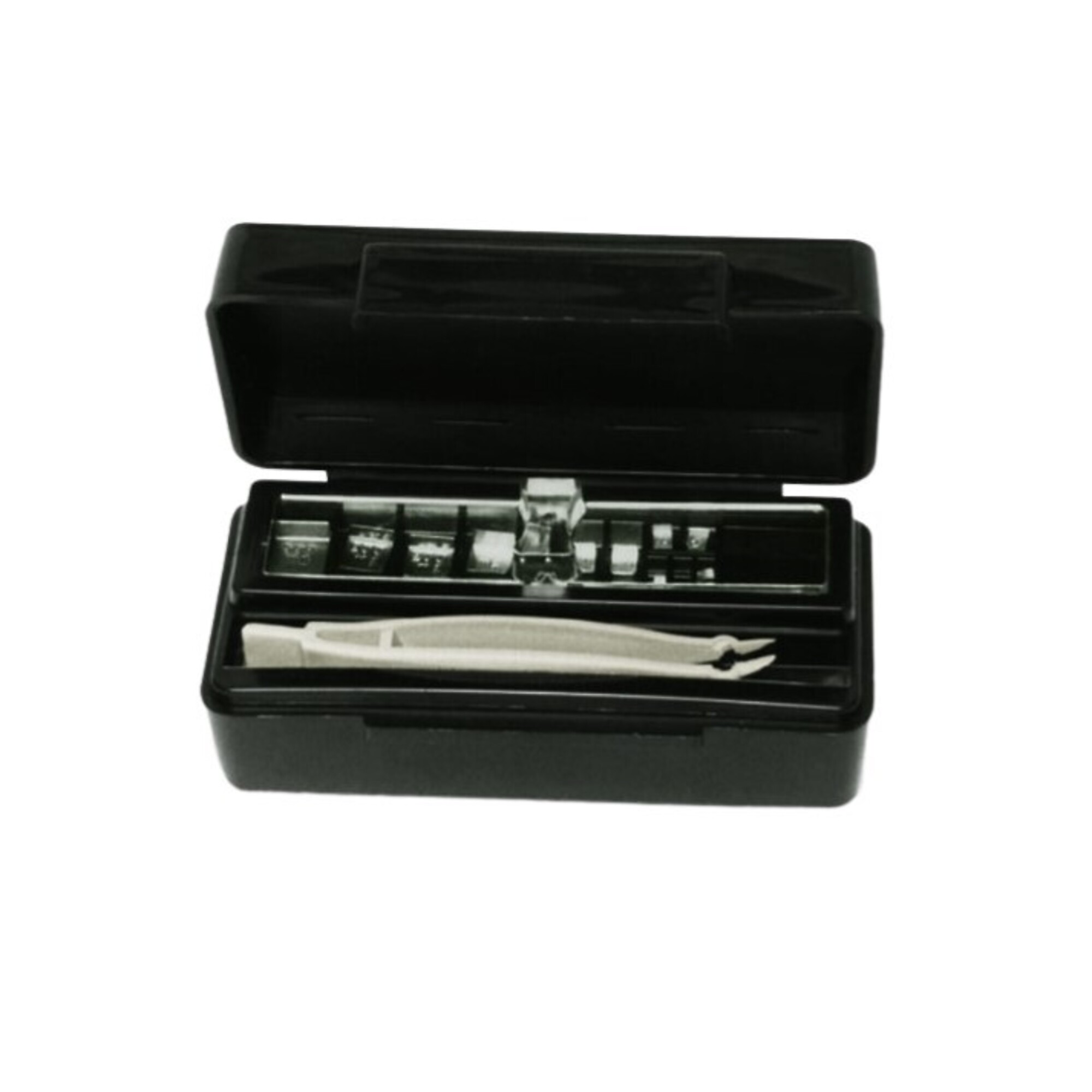 Rice Lake Weight Set - 500mg to 1mg, ASTM, Model# 11838 | Northern Tool